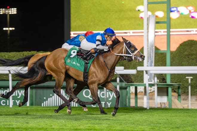 Reef Runner Will Be Freshened In Ocala After Middle Eastern Travels ...