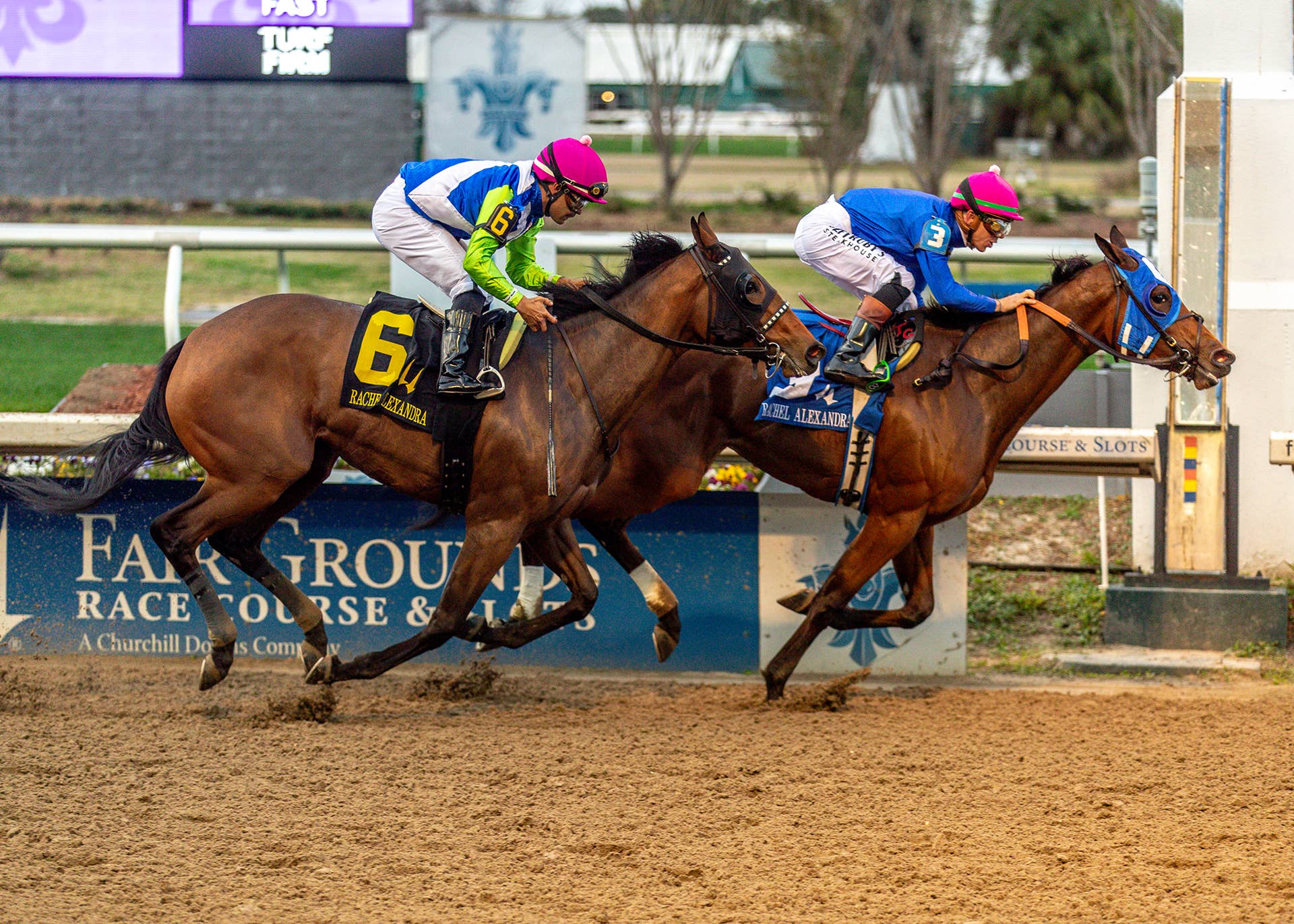Bella Ballerina, Luv Your Neighbor Set For Rematch In Fair Grounds Oaks ...