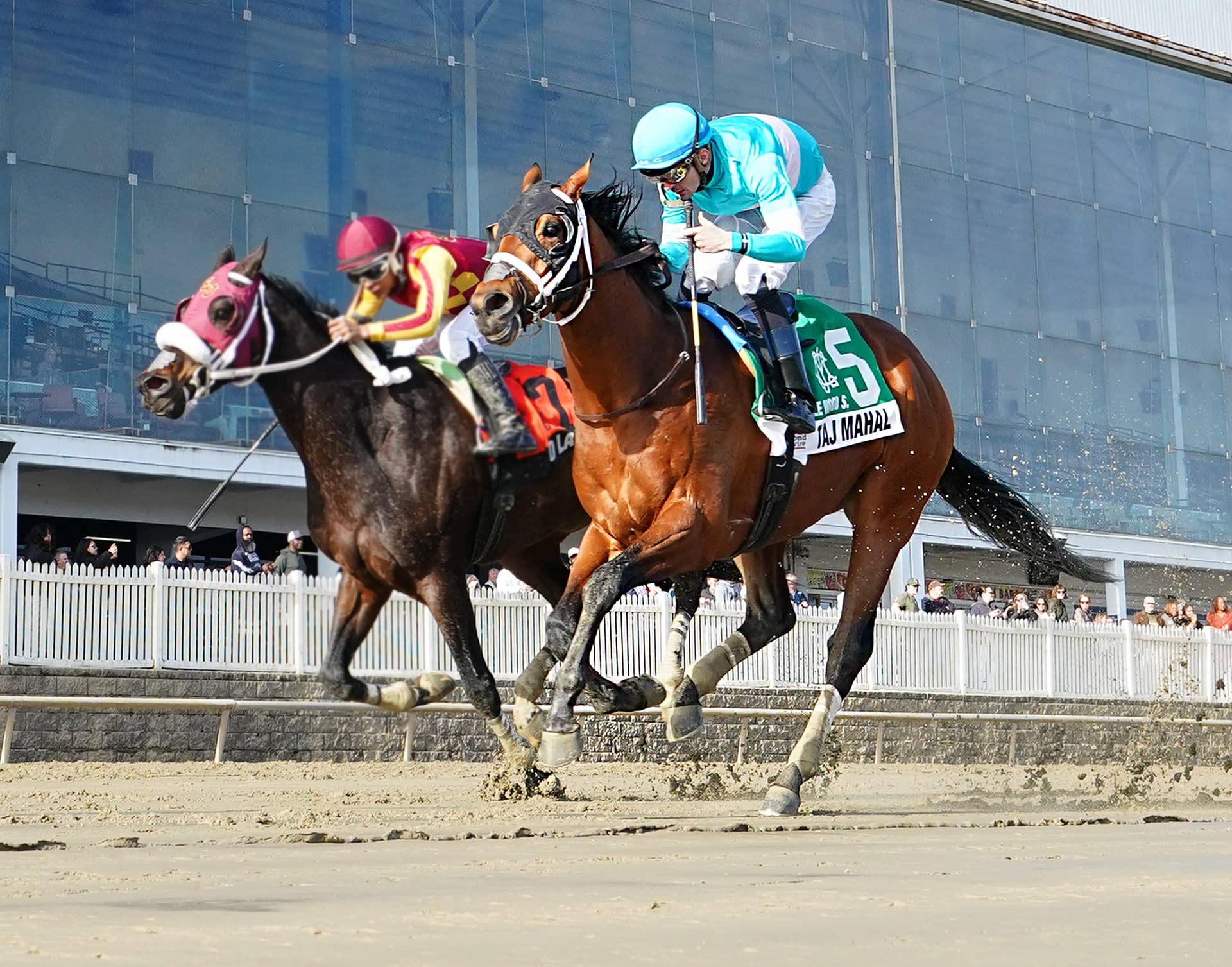 Taj Mahal Tries To Keep Perfect Record Intact In Federico Tesio Stakes ...