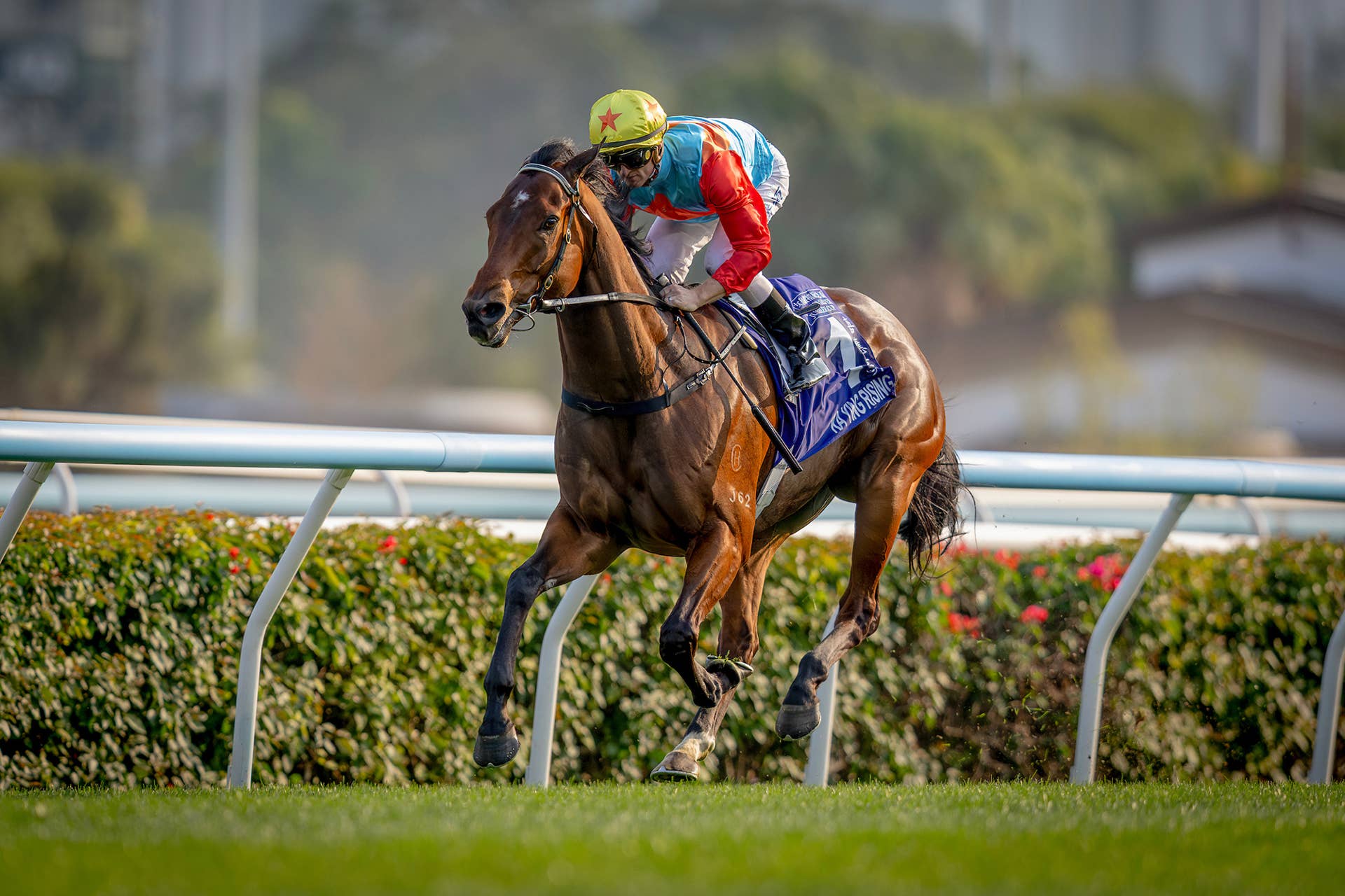 'A League Of His Own': Ka Ying Rising Scores Historic 18th Consecutive ...
