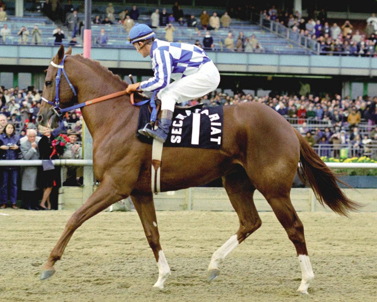 Secretariat And Aqueduct: Remembering Big Red’s Sendoff At The Big A ...