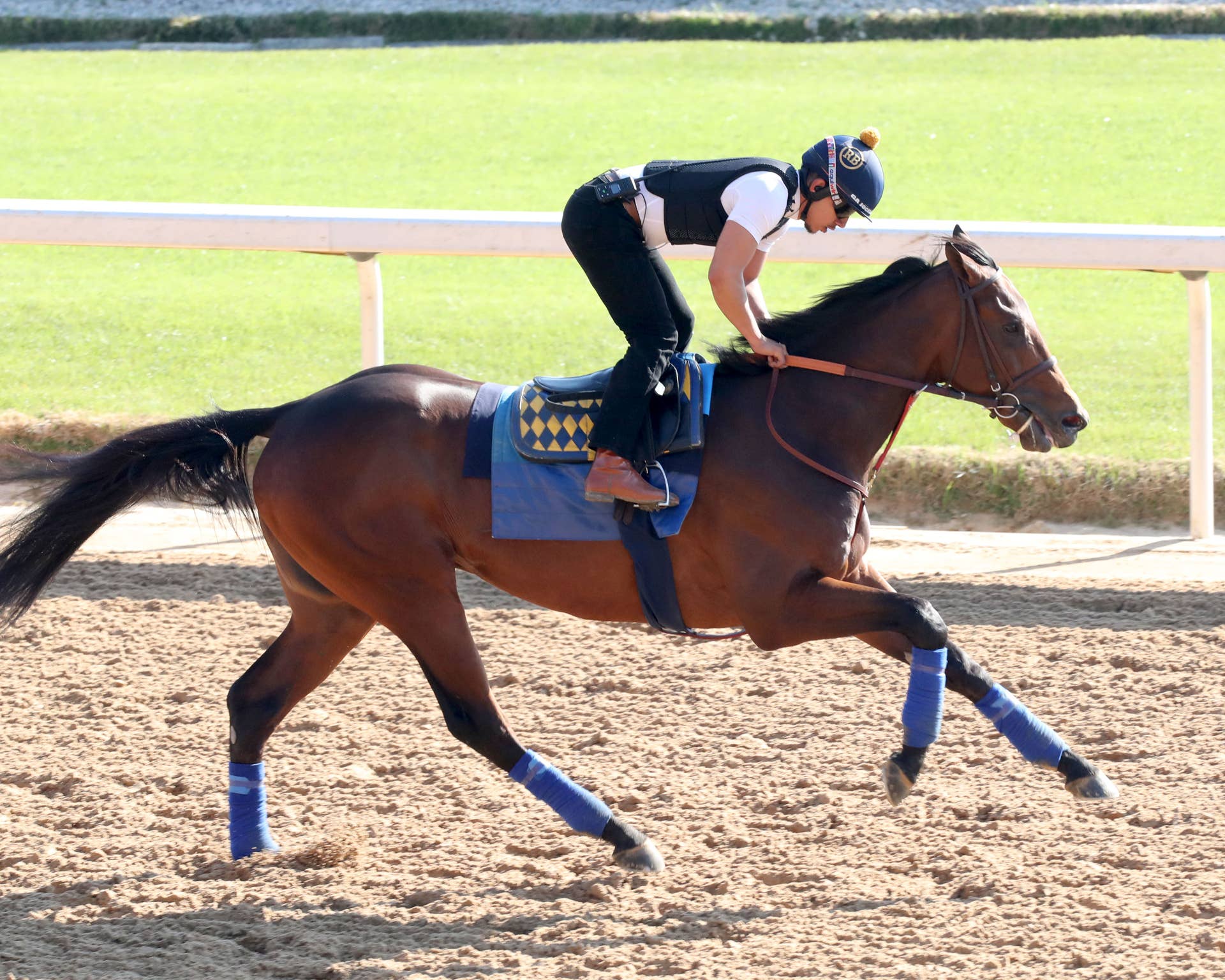 Litmus Test Looks To Extend Bob Baffert’s Dominance In Rebel Stakes ...