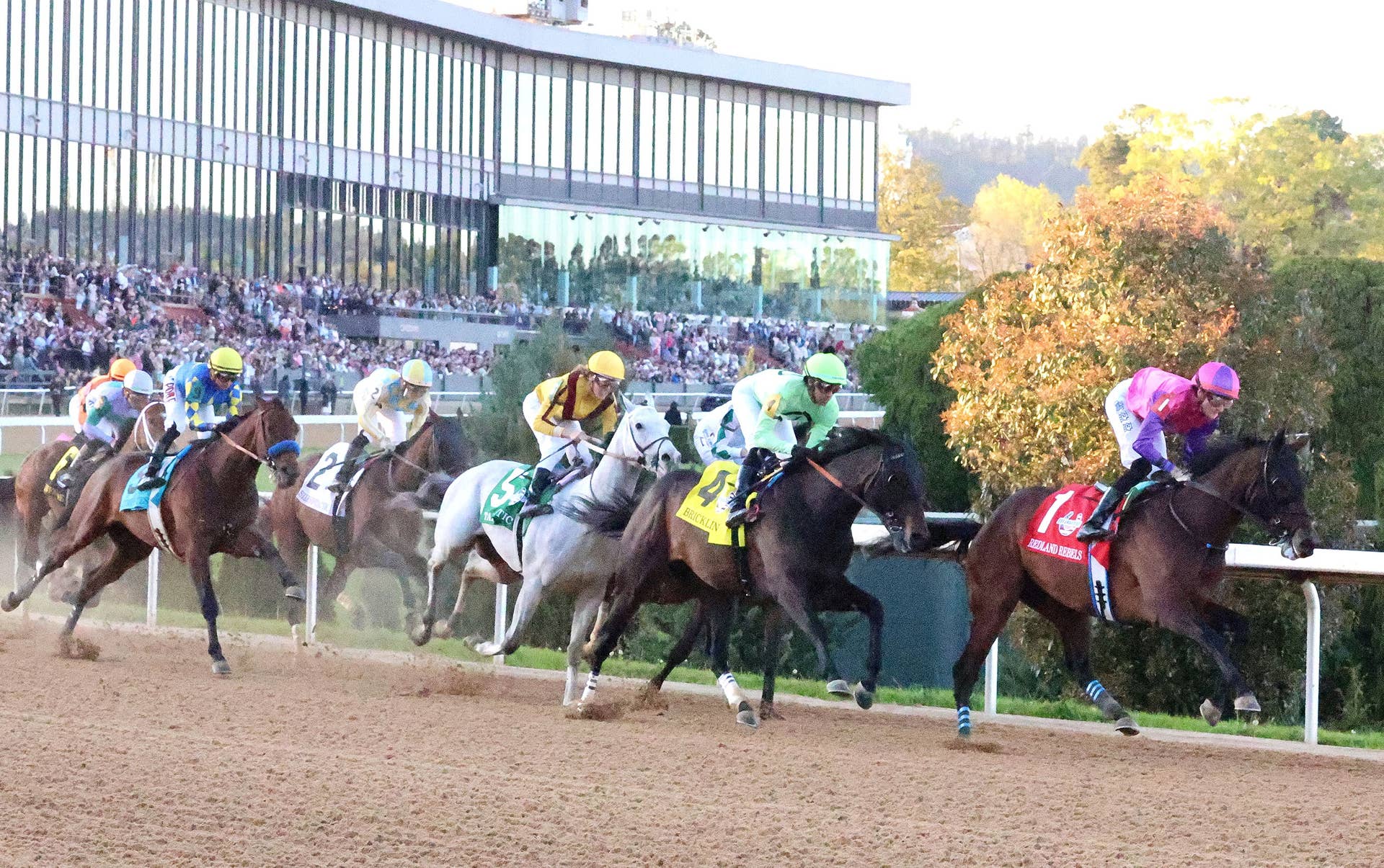 Renegade Runs Away With Arkansas Derby - Paulick Report