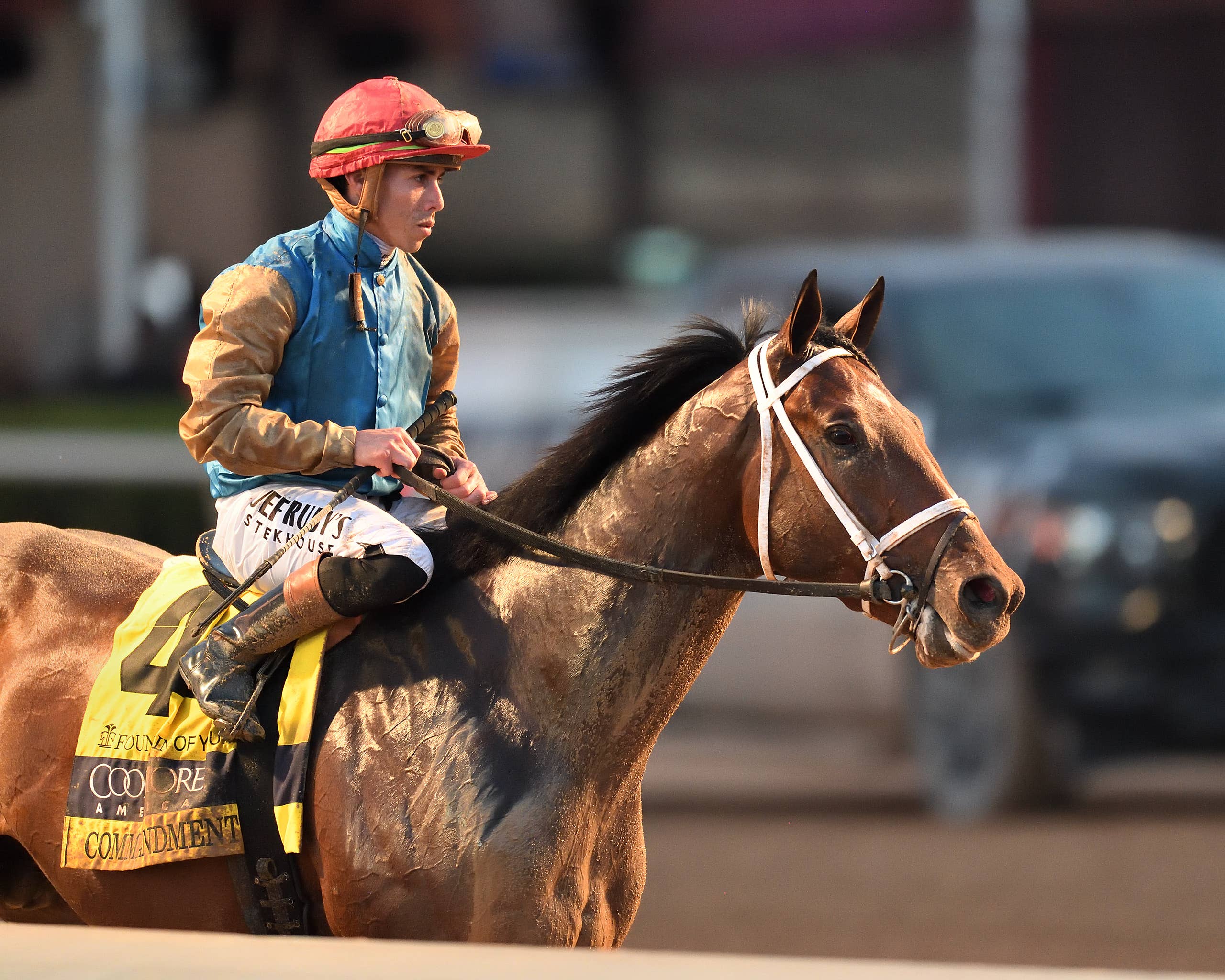 Kentucky Derby Pedigree Corner Presented By FanDuel Racing: Commandment ...