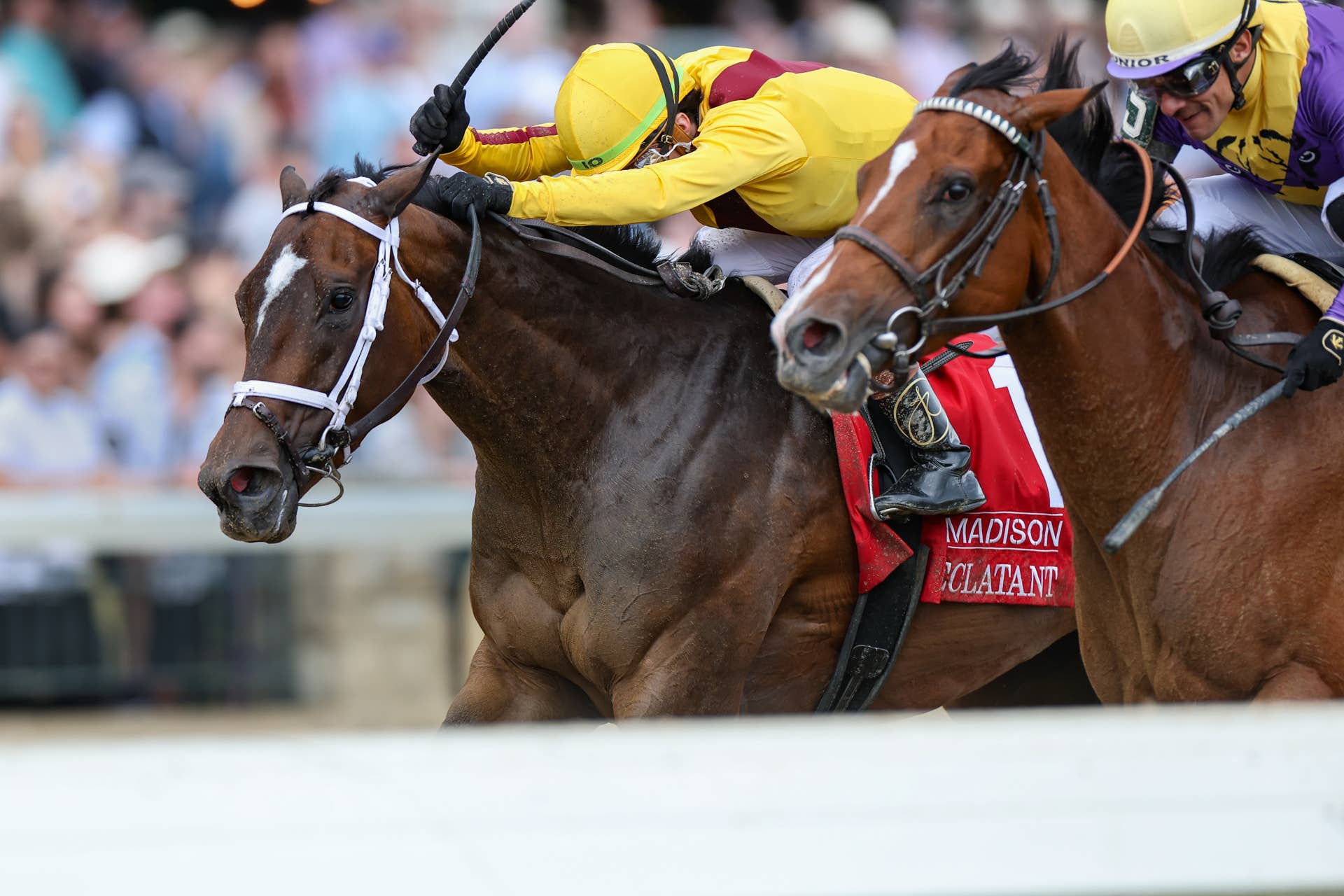'She Got There': Eclatant Edges Grand Job In Madison Thriller At ...