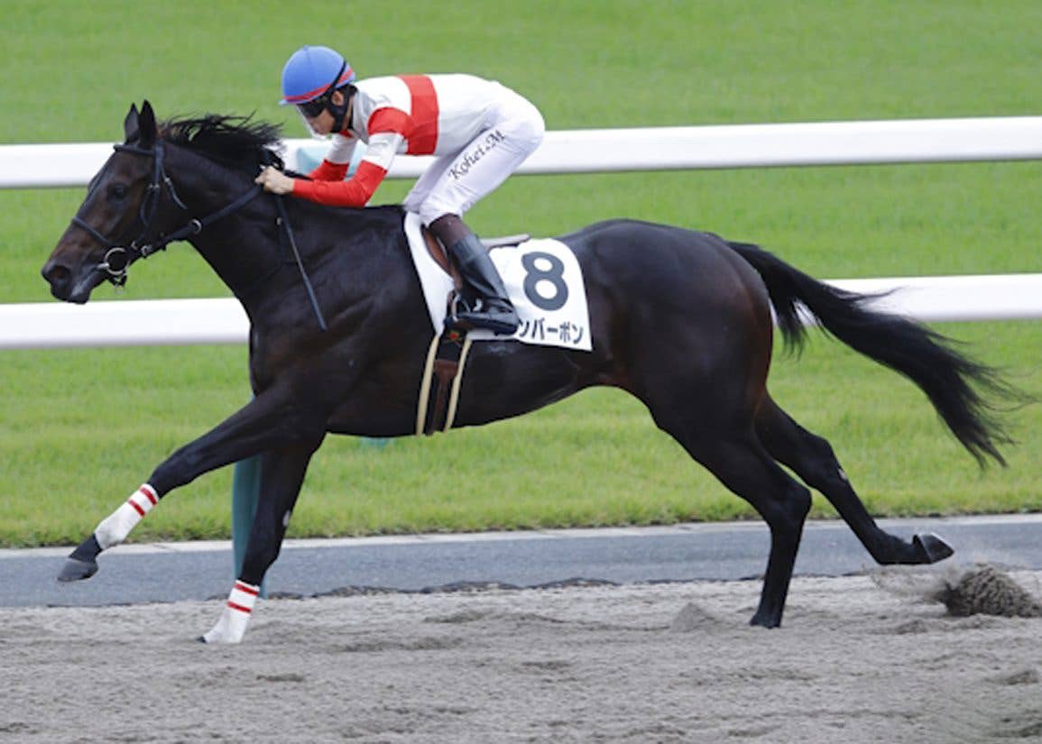Kentucky Derby Pedigree Corner Presented By FanDuel Racing: Commandment ...