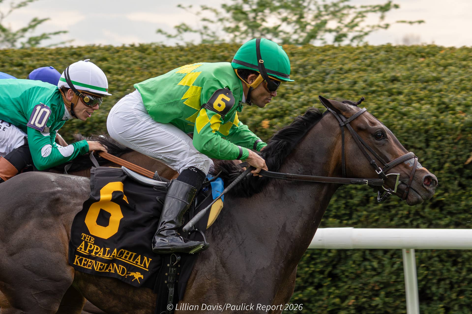 Storm’s Wake Gives Breeder ‘Once-In-A-Lifetime’ Graded Stakes Win At ...