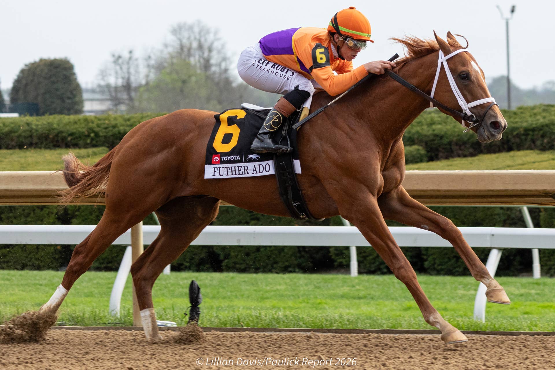 Kentucky Derby Pedigree Corner Presented By FanDuel Racing: Pavlovian ...