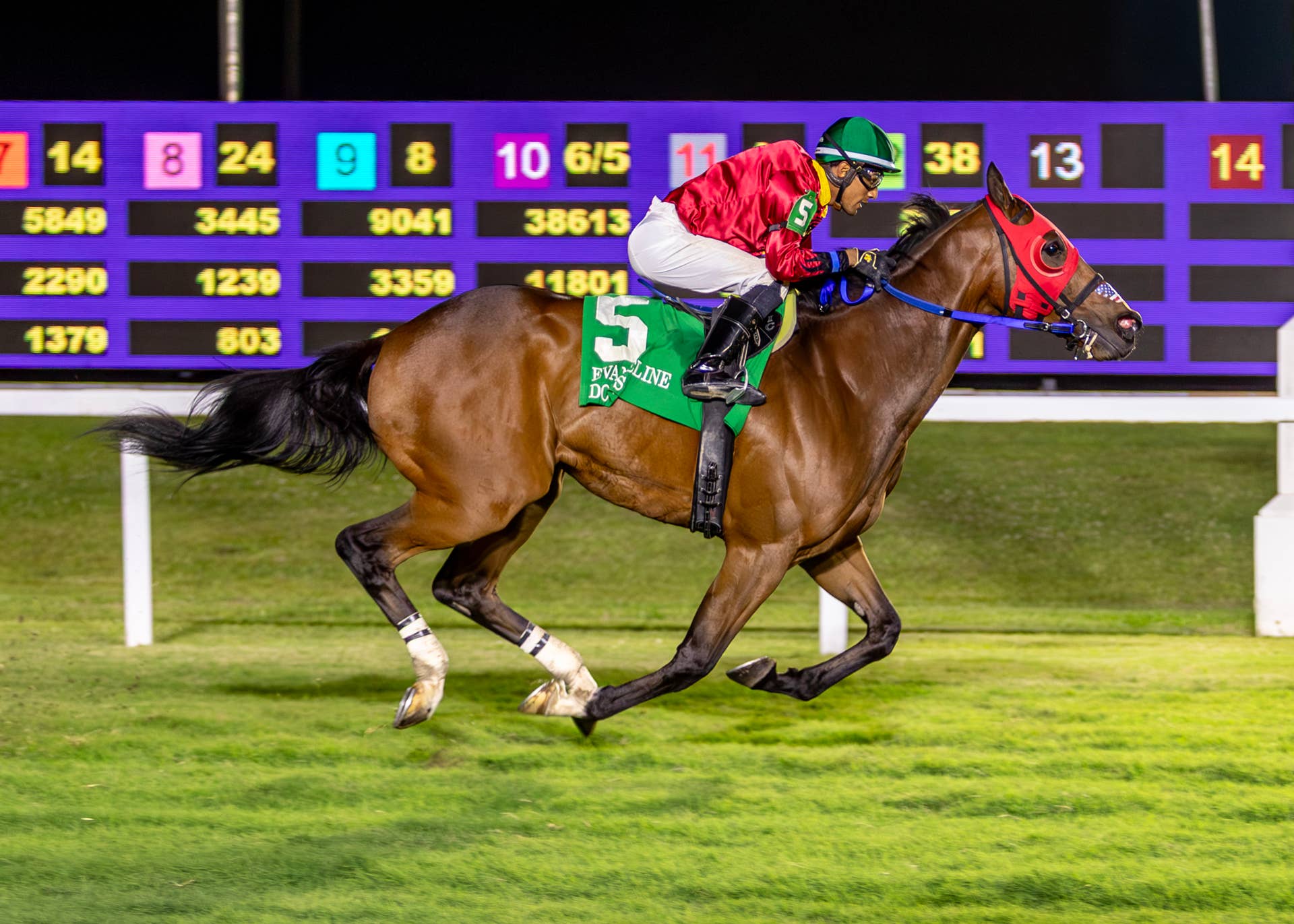 Louisiana Legends Set For Saturday Night At Evangeline Downs - Paulick ...