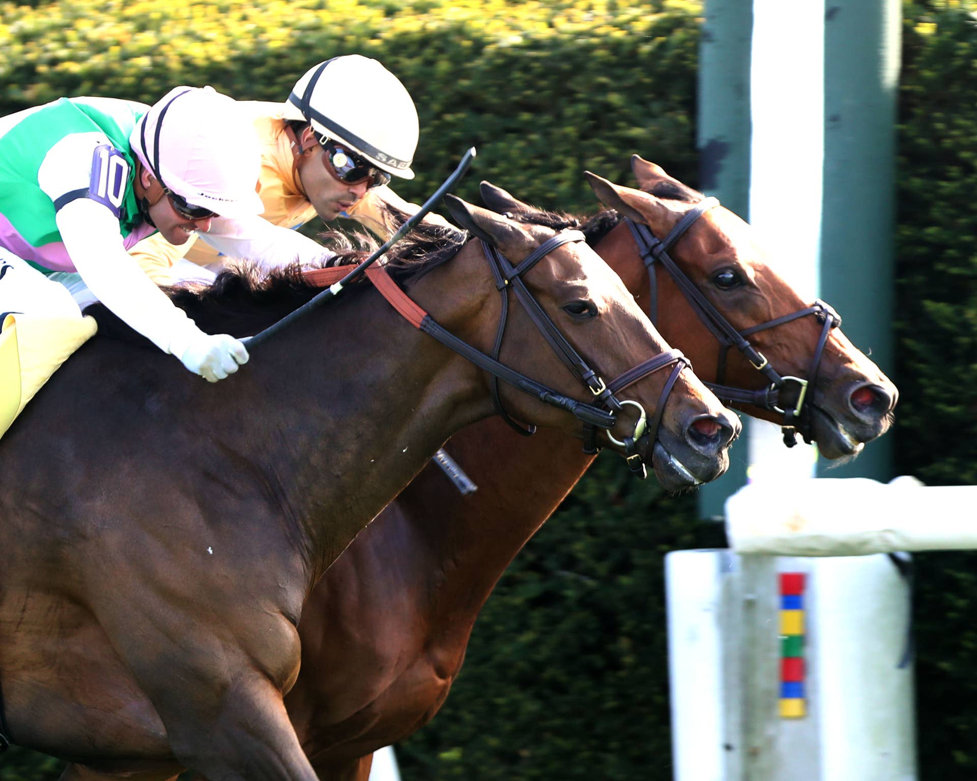 Bloodlines Presented By Walmac Farm: Two Races, Three Winners, All Five ...