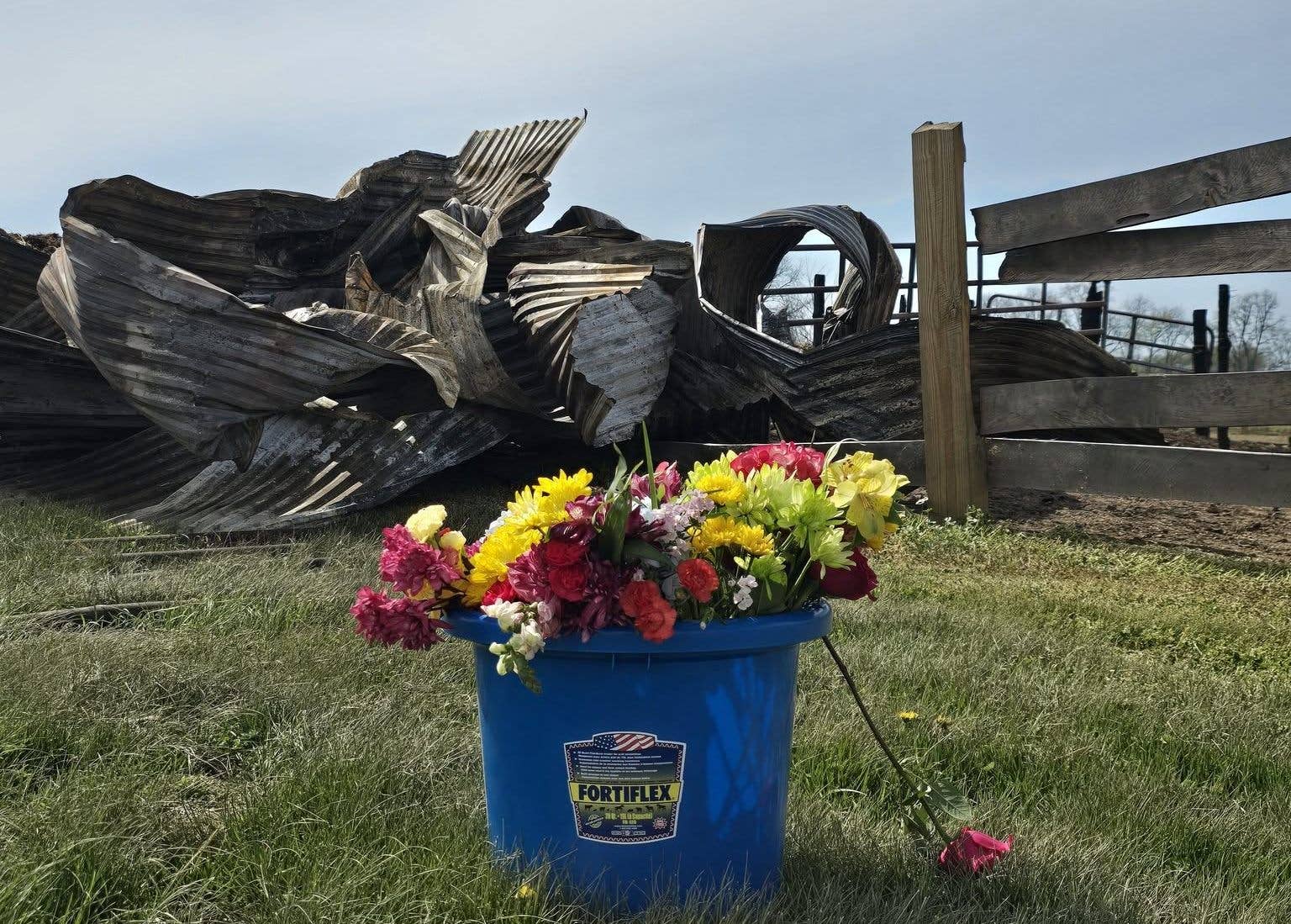 Barn Fire - Paulick Report