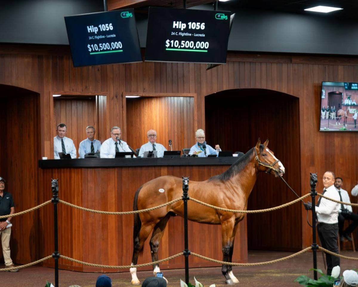'He Followed Through With The Hype': Son Of Flightline Sells For Record ...