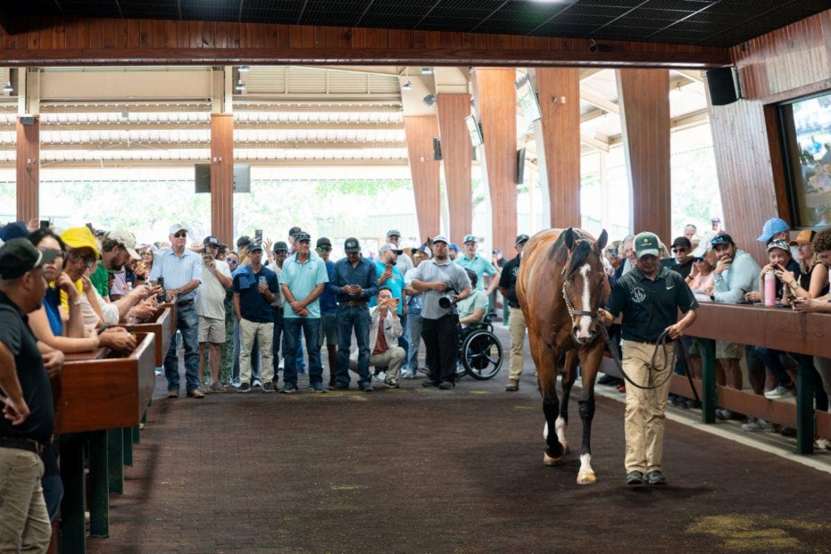 'He Followed Through With The Hype': Son Of Flightline Sells For Record ...