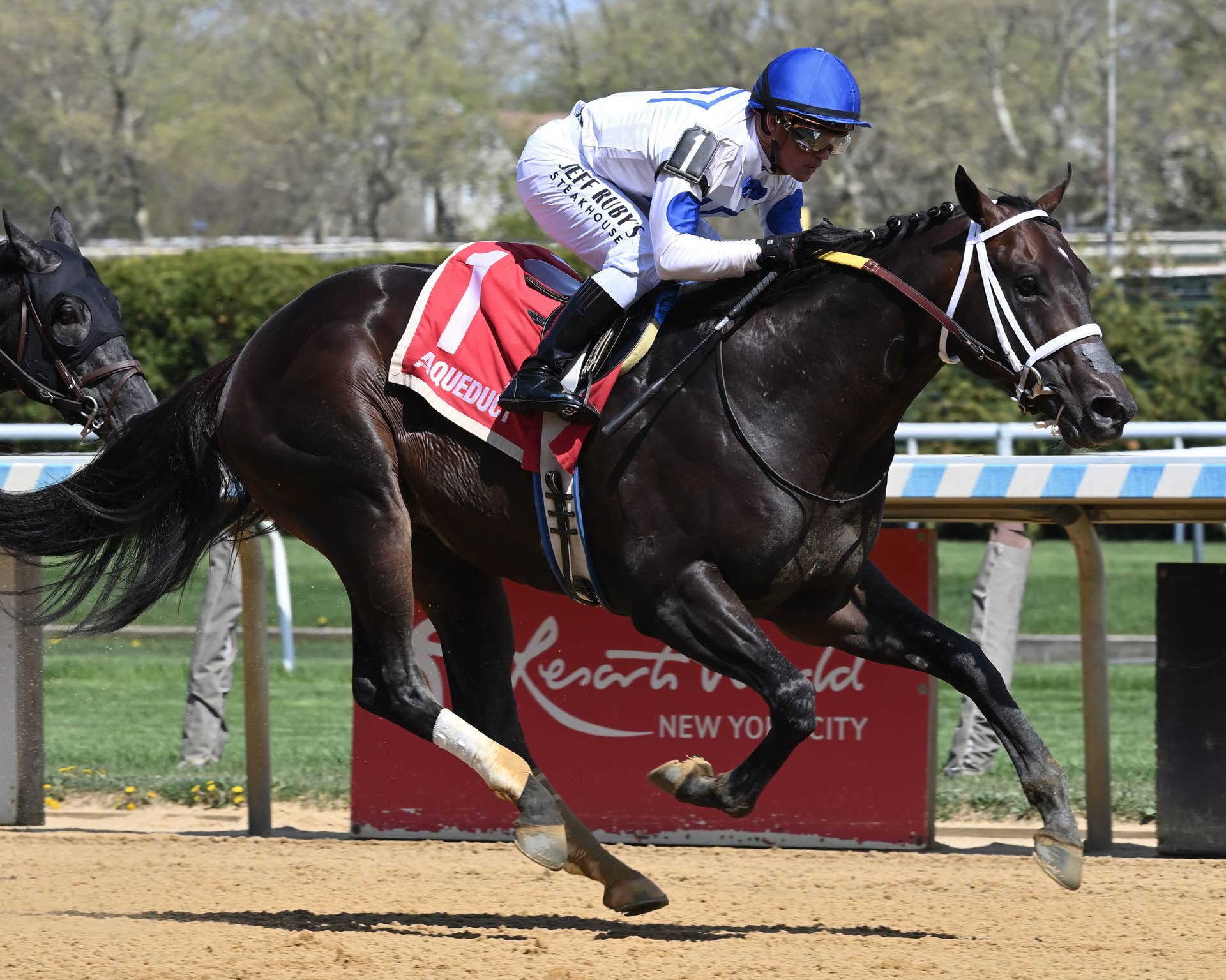 Solitude Dude Keeps Sprint Record Perfect With Bay Shore Win - Paulick ...