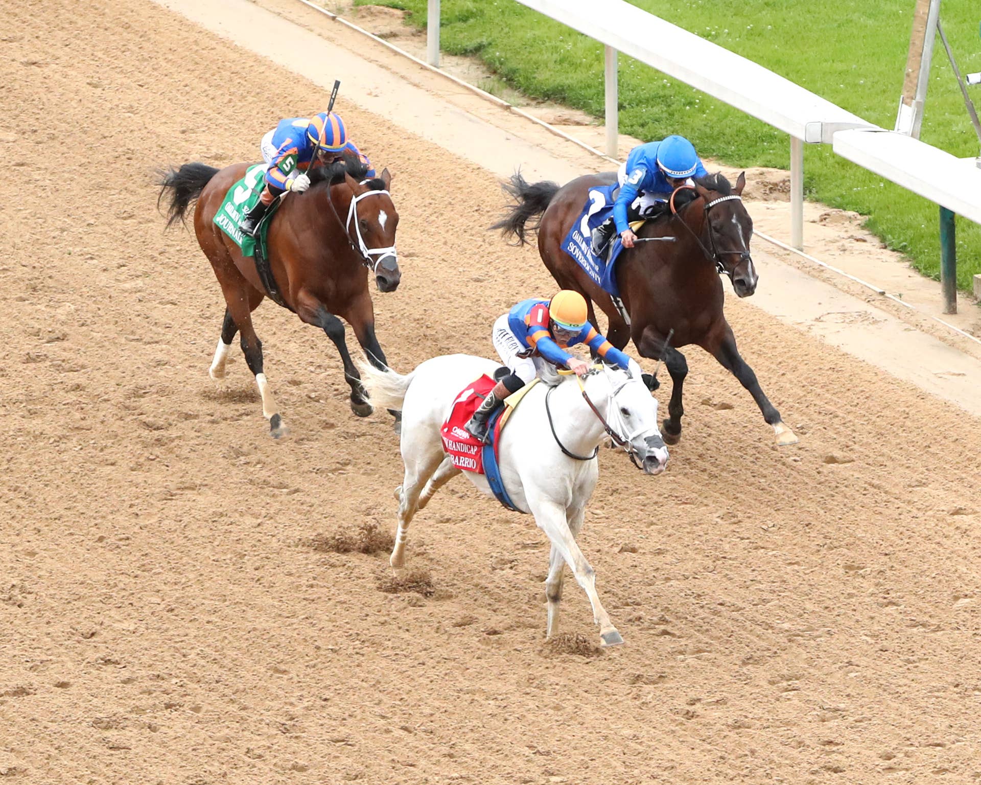 Breeders' Cup Year-End Goal For White Abarrio, HOY Sovereignty ...