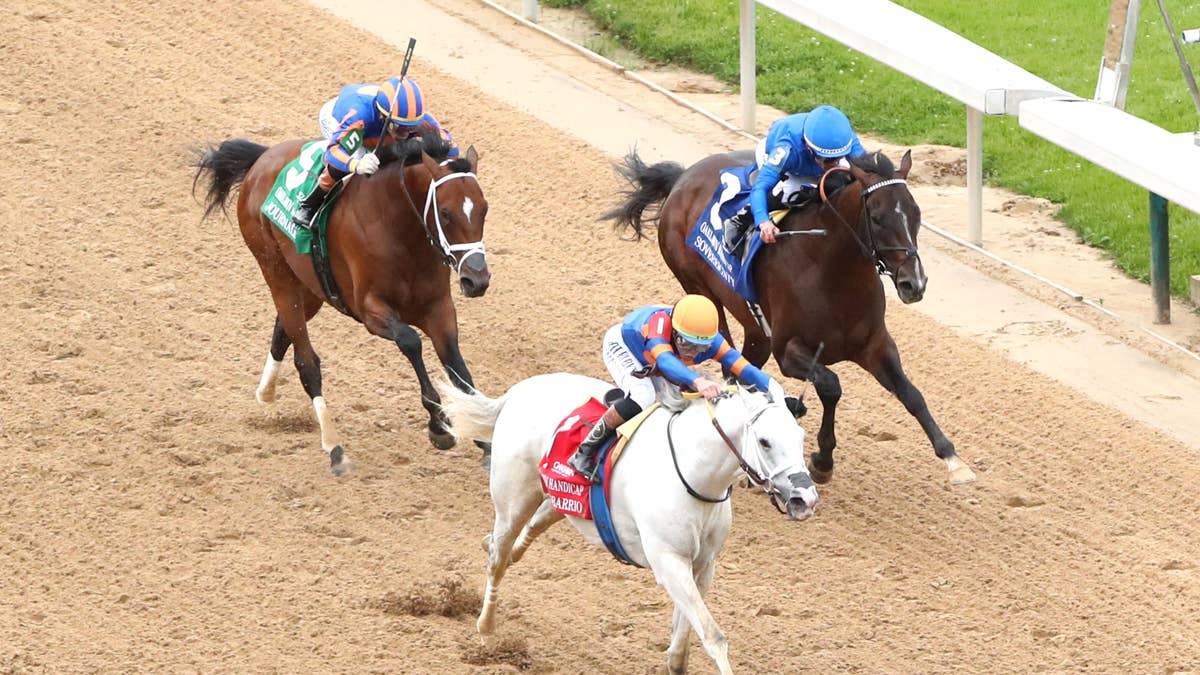 Breeders' Cup Year-End Goal For White Abarrio, HOY Sovereignty ...