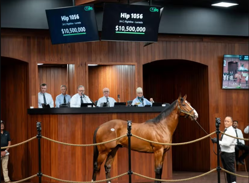 Bob Baffert Names $10.5 Million Colt ‘Zedan’ - Paulick Report