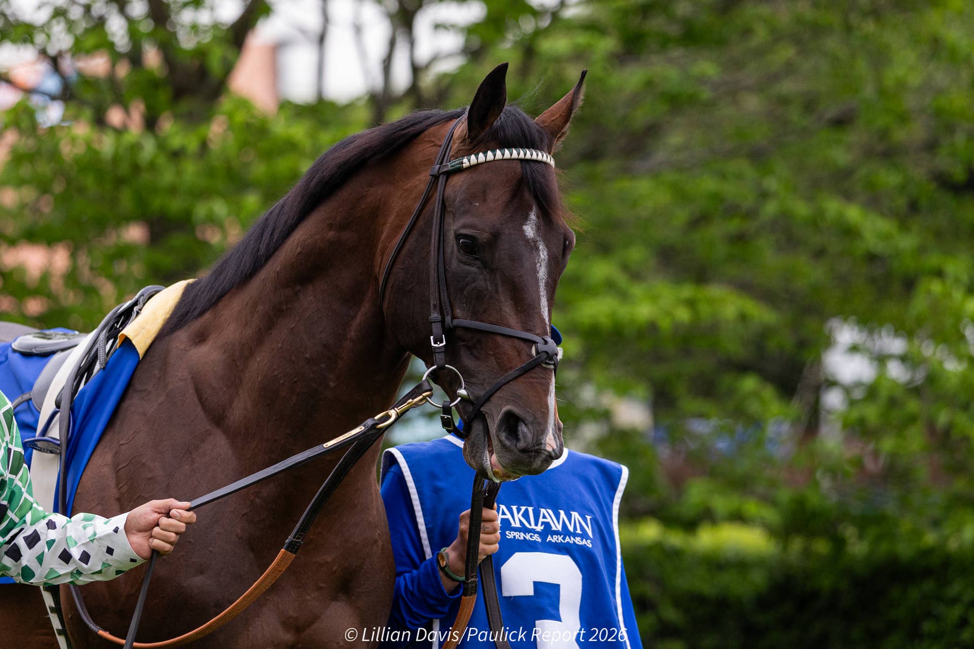 Sovereignty Anchors Busy Saturday Work Tab At Saratoga - Paulick Report