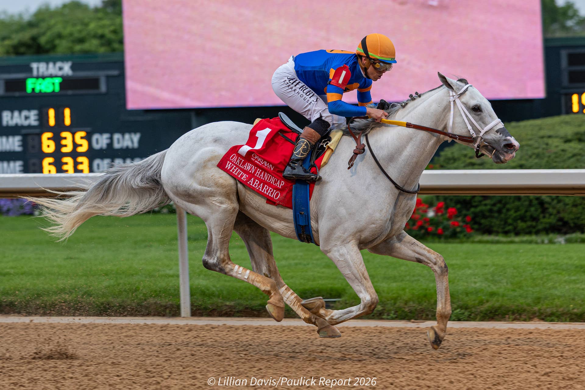 White Abarrio Moves Into World’s Best Racehorse Top Five - Paulick Report
