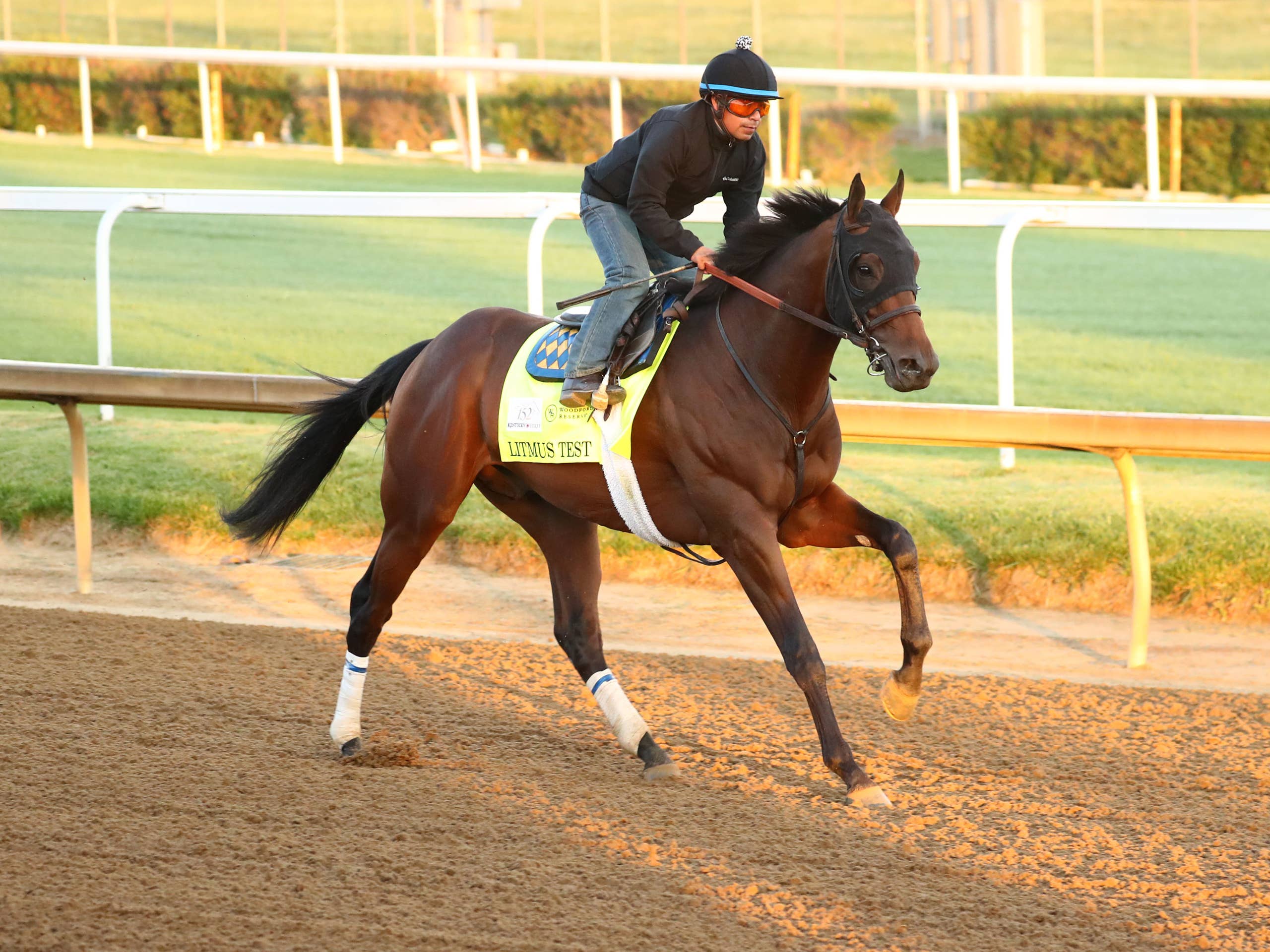 Kentucky Derby Report: Litmus Test In, Chip Honcho To Target Preakness ...