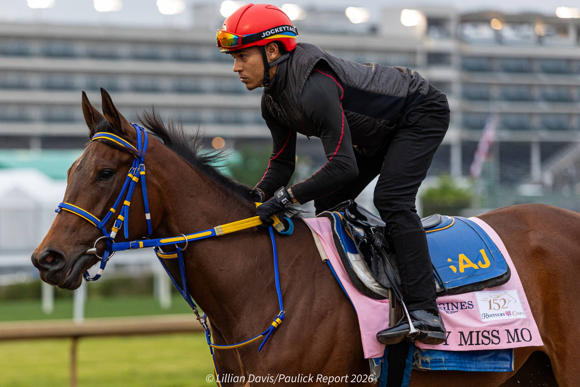 Kentucky Oaks Update: My Miss Mo Scratches - Paulick Report
