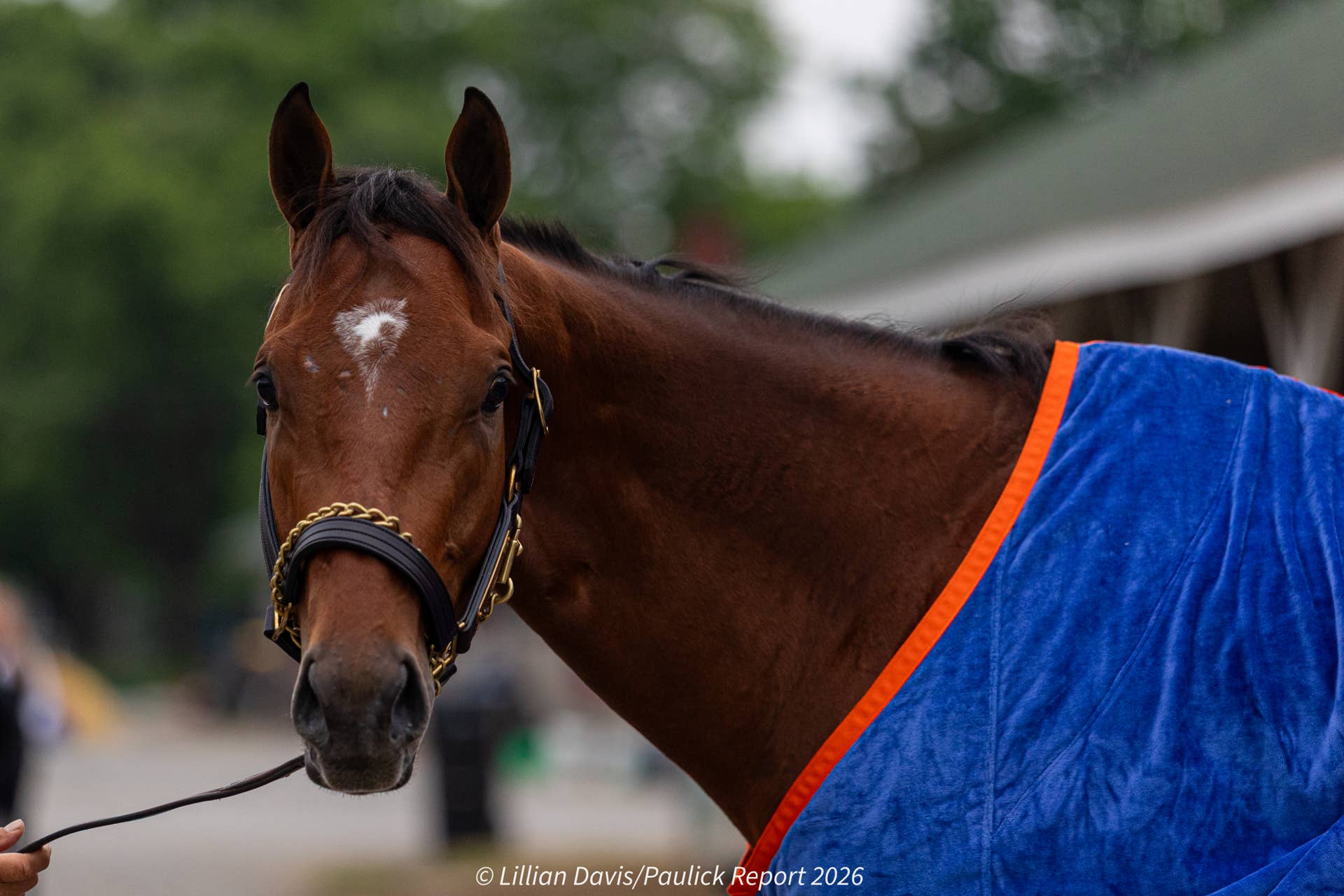 Kentucky Derby Update: Chief Wallabee Among Six To Post Final Works ...