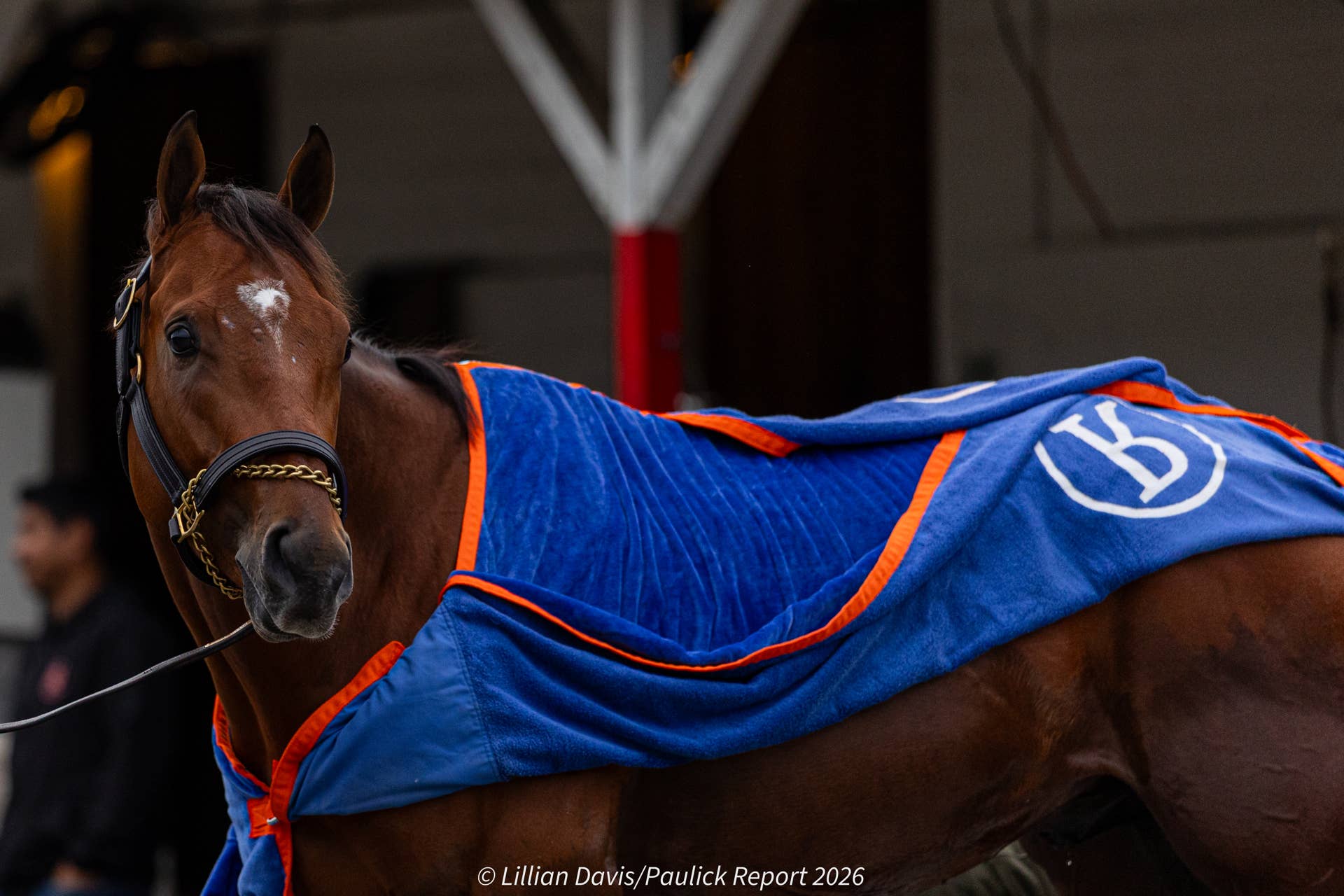 Todd Pletcher Embraces Tough Derby Draw For Favorite Renegade - Paulick ...