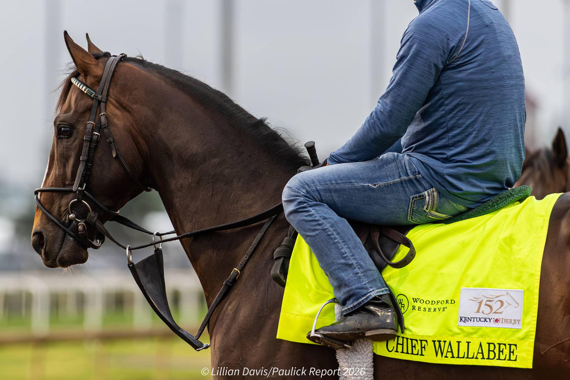 Breeders' Cup Presents Connections: The Unraced Million-Dollar Yearling ...