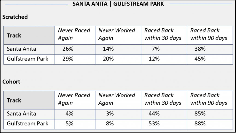 Hackbarth: More Vet Scratches, Safer Horses? What The Numbers Tell Us ...