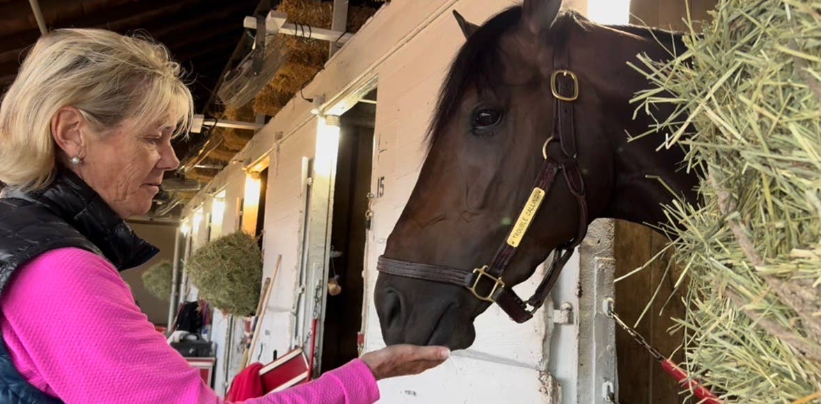 Breeders' Cup Presents Connections: The Unraced Million-Dollar Yearling ...