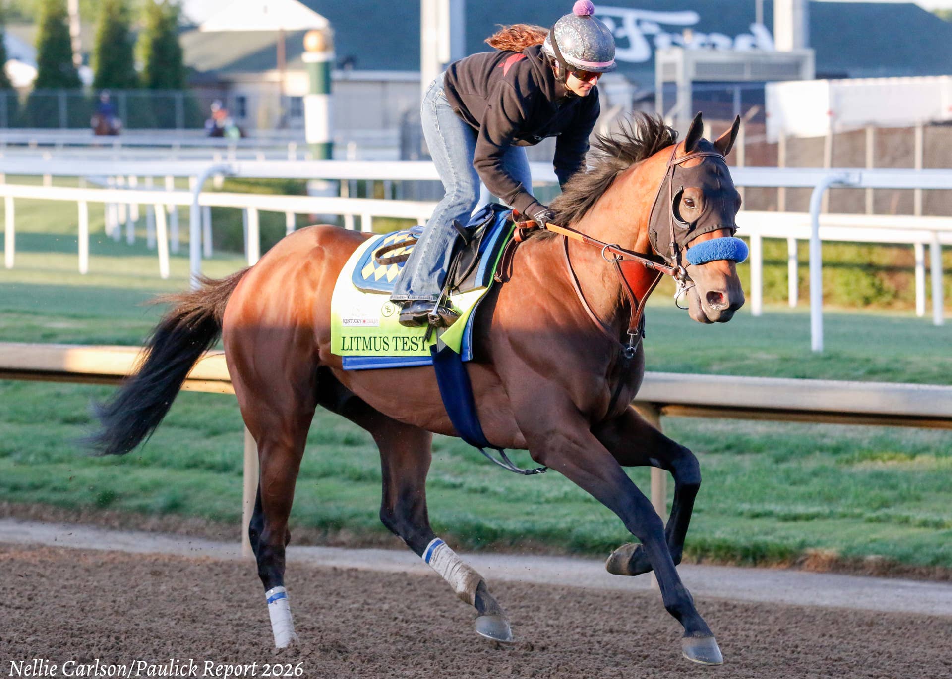 Litmus Test Scratched From Delaware Derby, Runs In Rescheduled Affirmed ...