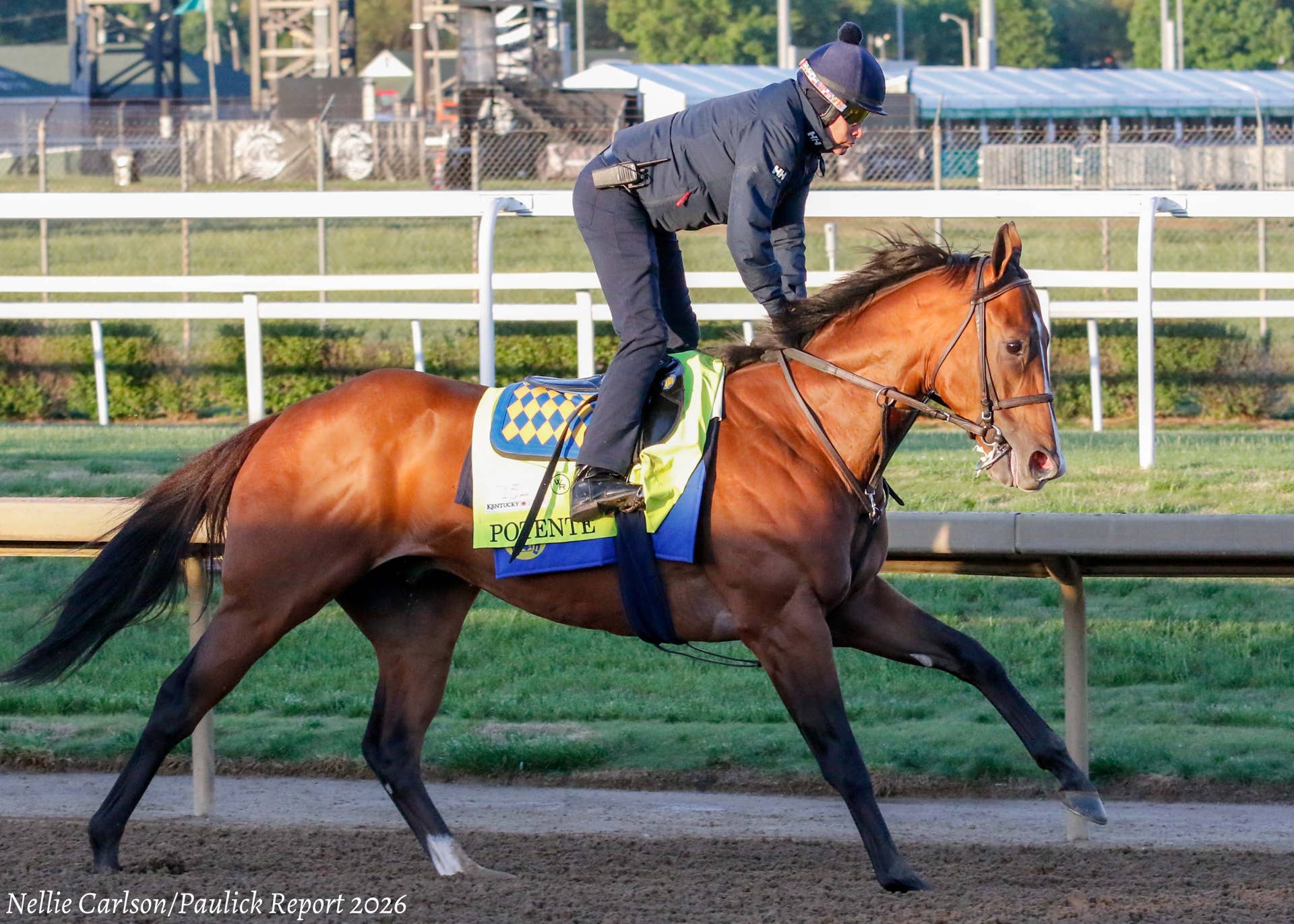 Bob Baffert Takes Potente Out Of Belmont Stakes; Confirms Crude ...