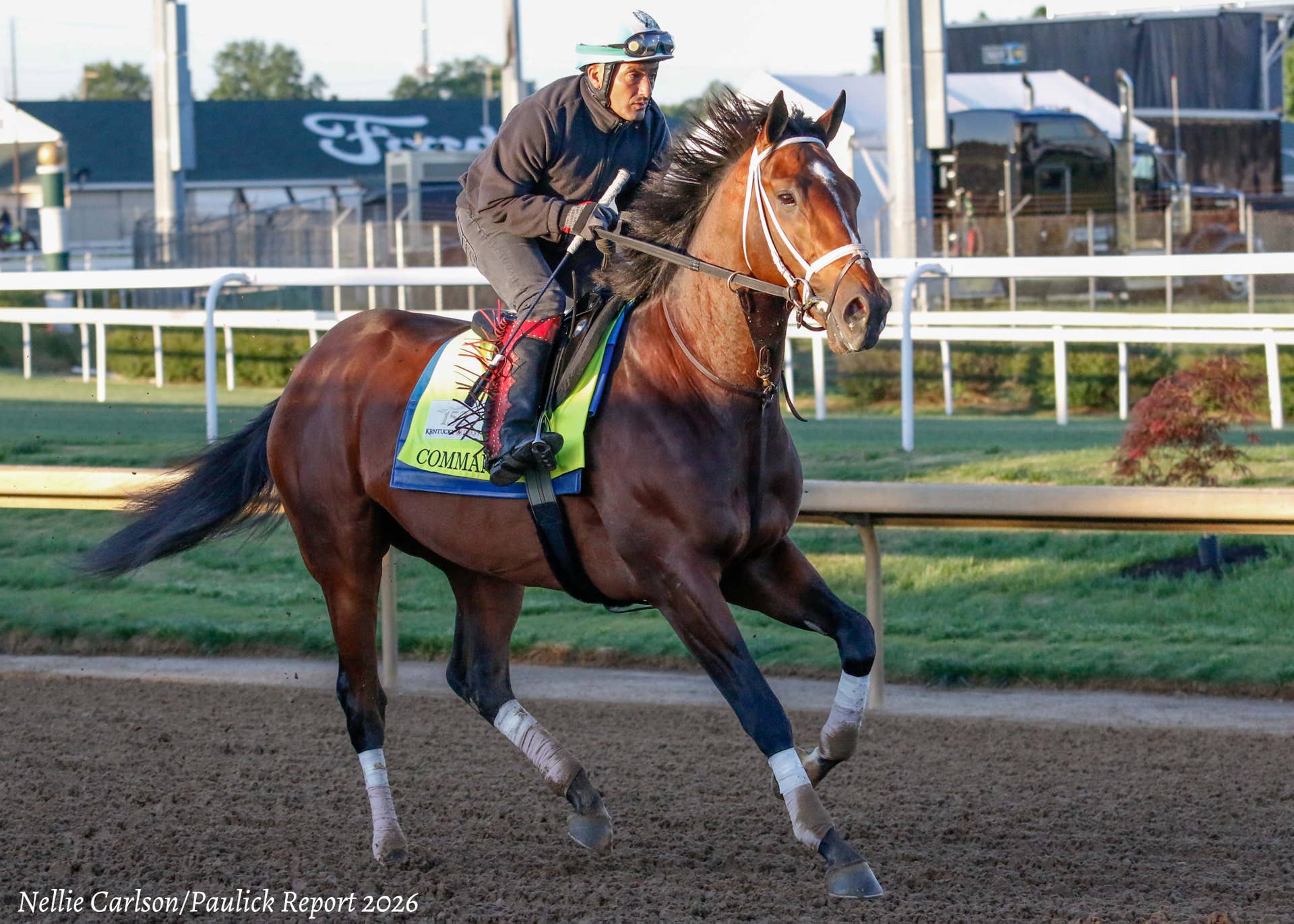 Commandment Eyes Rematch With Golden Tempo In Jim Dandy - Paulick Report