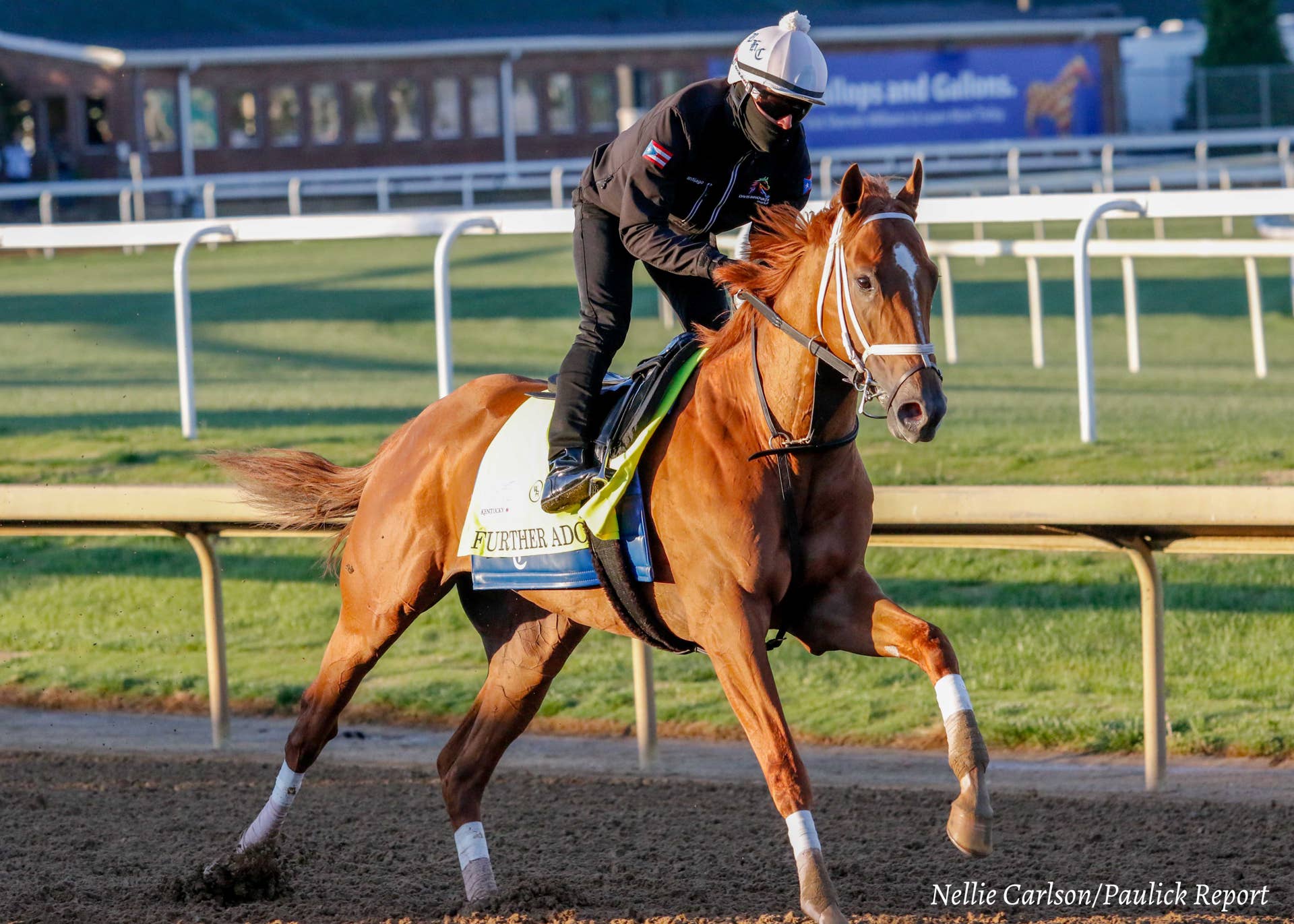 Matt Winn Serves As Campaign ‘Reset’ For Beaten Kentucky Derby Favorite ...