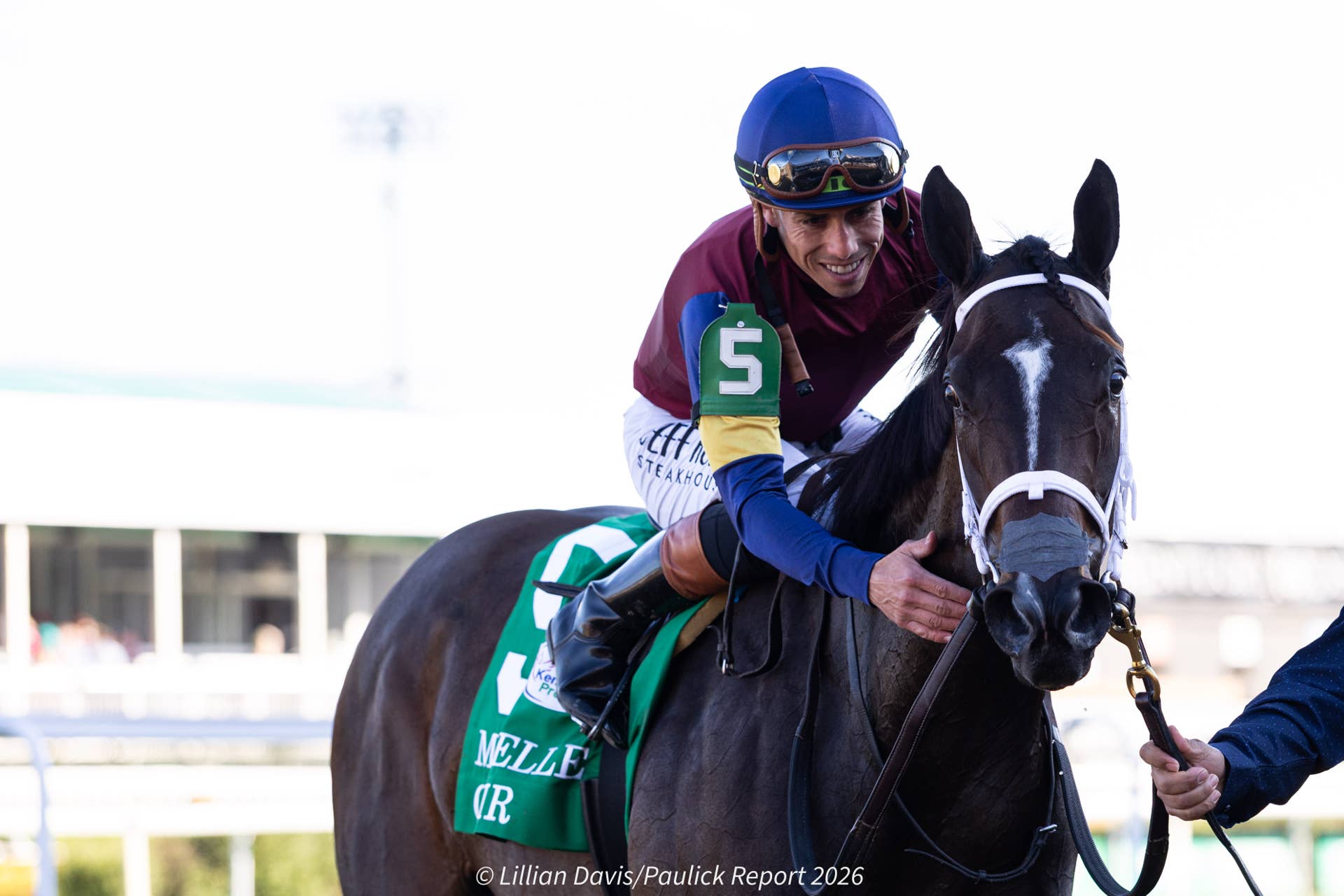 Breeders’ Cup Winner Cy Fair Targets Royal Ascot - Paulick Report