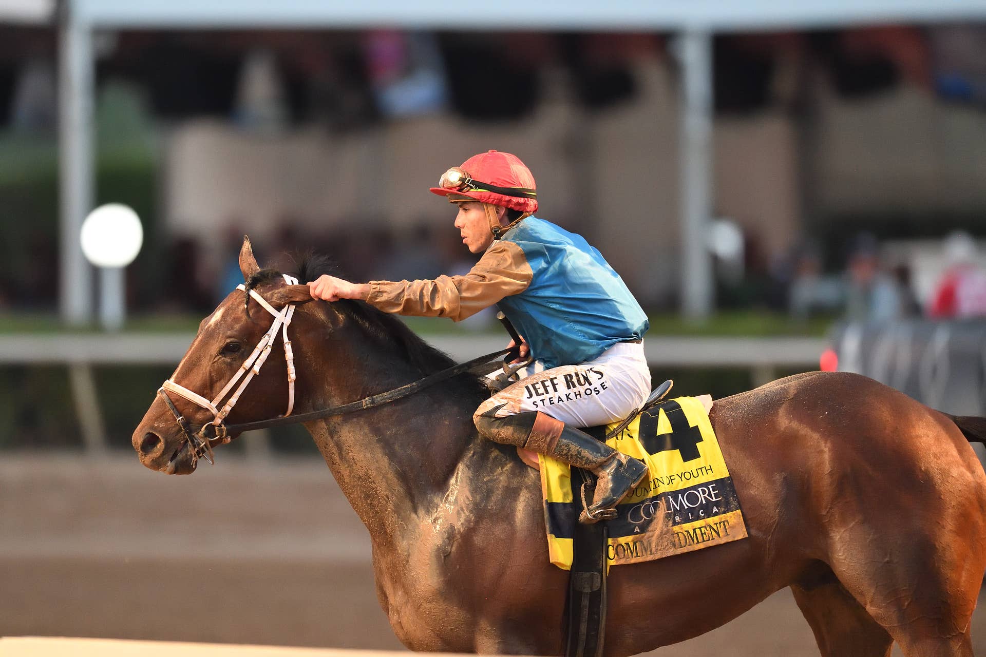 Commandment Leads Brad Cox Belmont Stakes Racing Festival Brigade ...