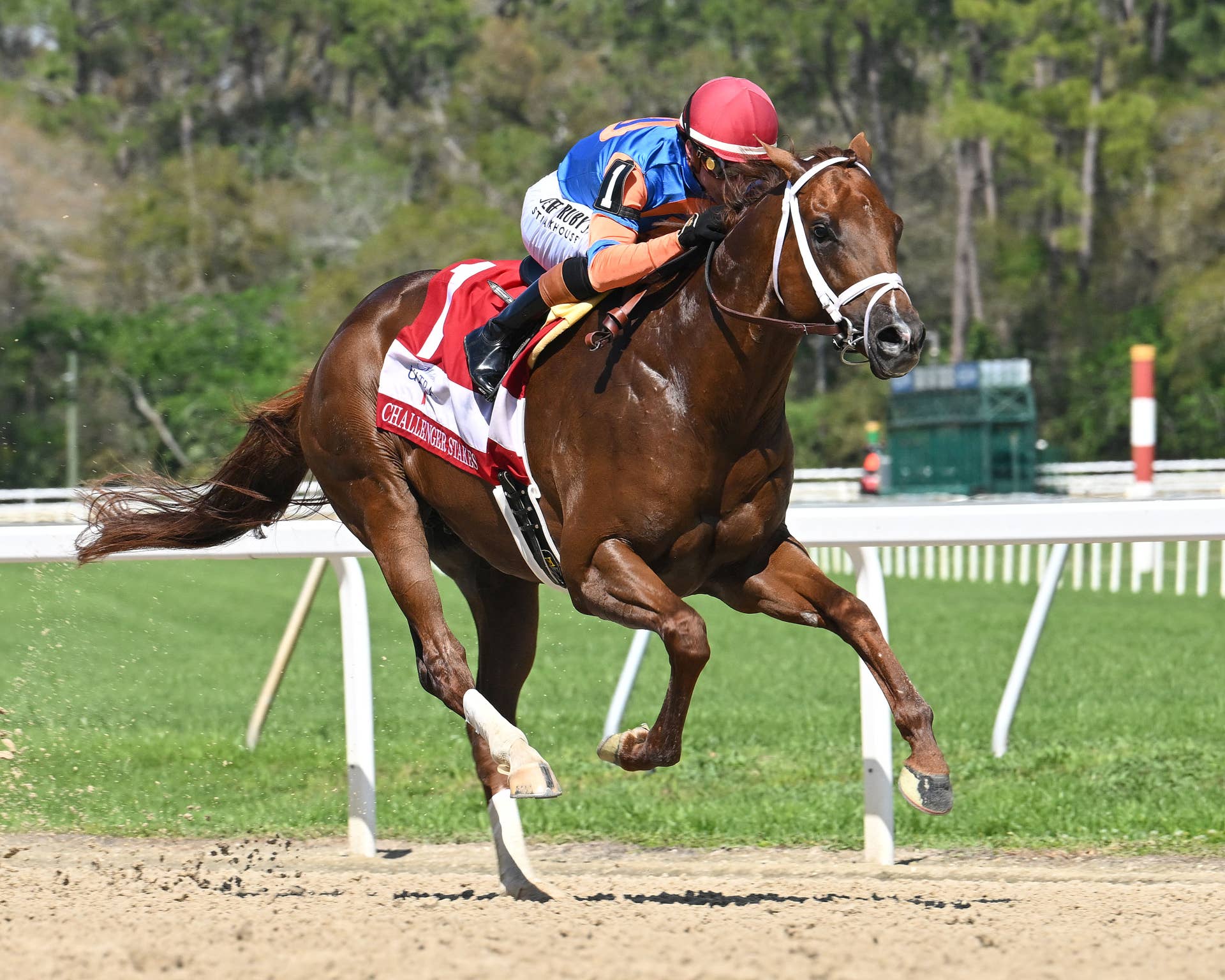 Disruptor Continues Return With Challenger Triumph - Paulick Report