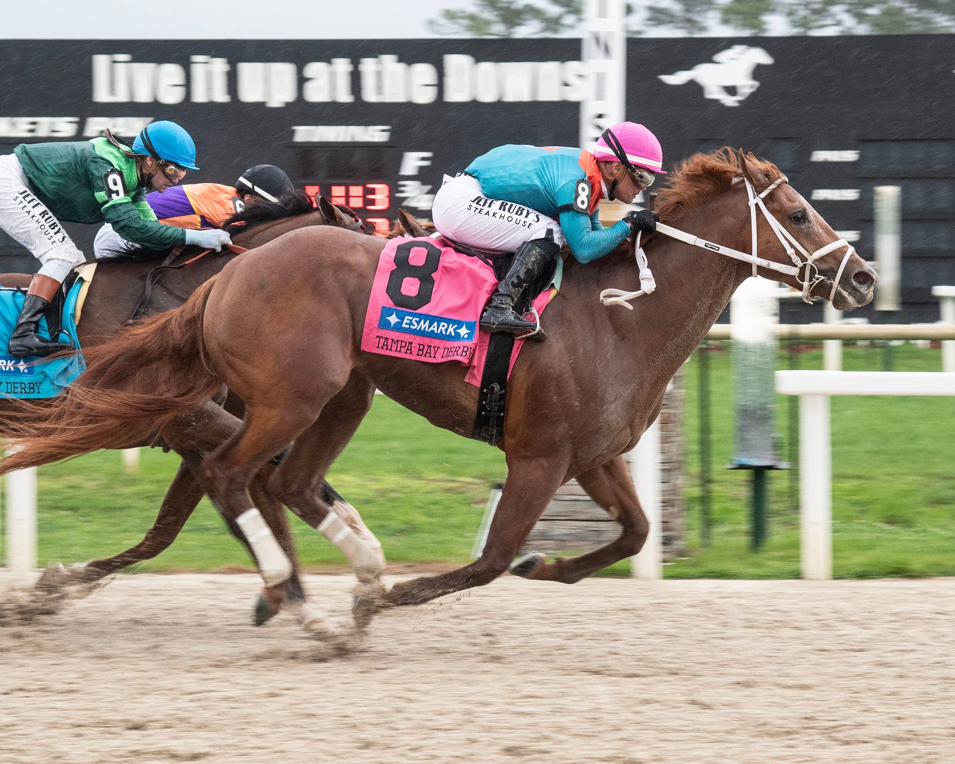 Connections Of The Puma On Another Classic Trail Thrill Ride - Paulick ...