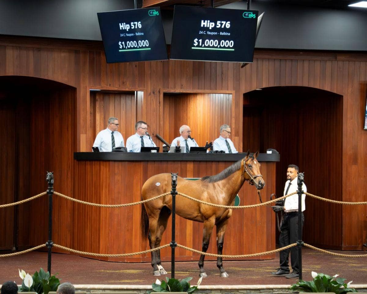 OBS March Sale Concludes With Record Gross, Ties Mark For Most Seven ...