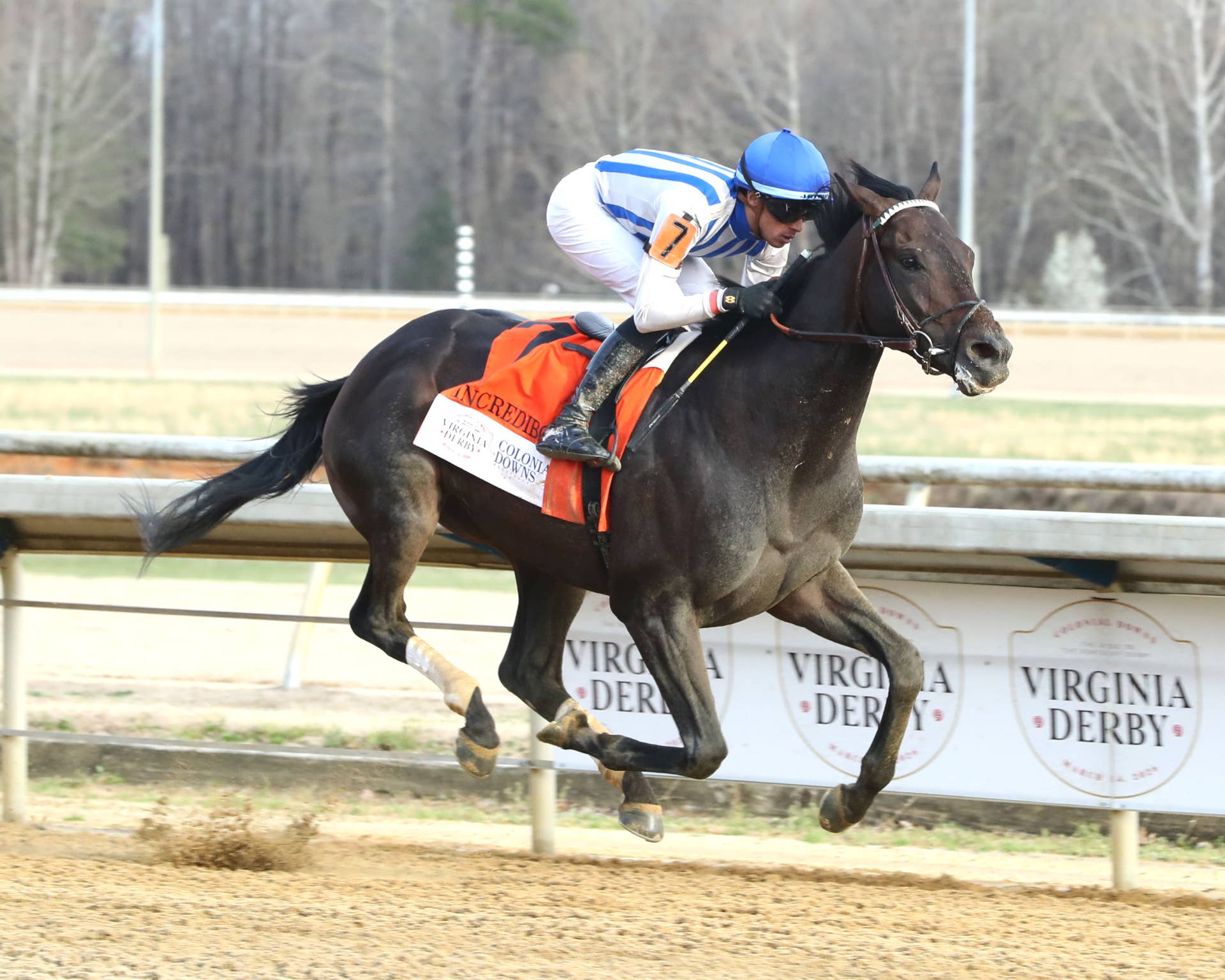 Kentucky Derby Pedigree Corner Presented By FanDuel Racing: Incredibolt ...
