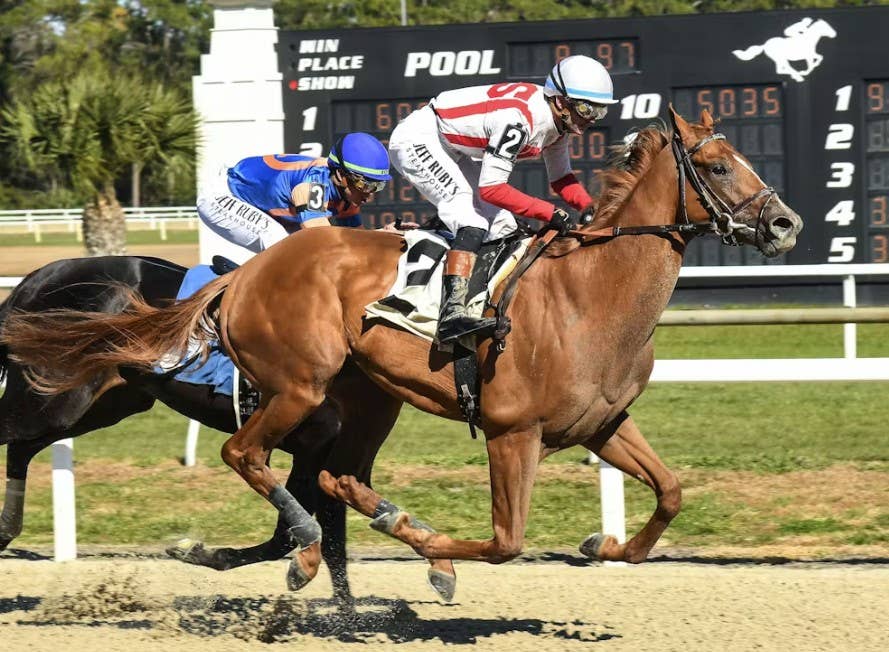 Equibase Analysis: Emerging Market Faces Class Test In Louisiana Derby ...
