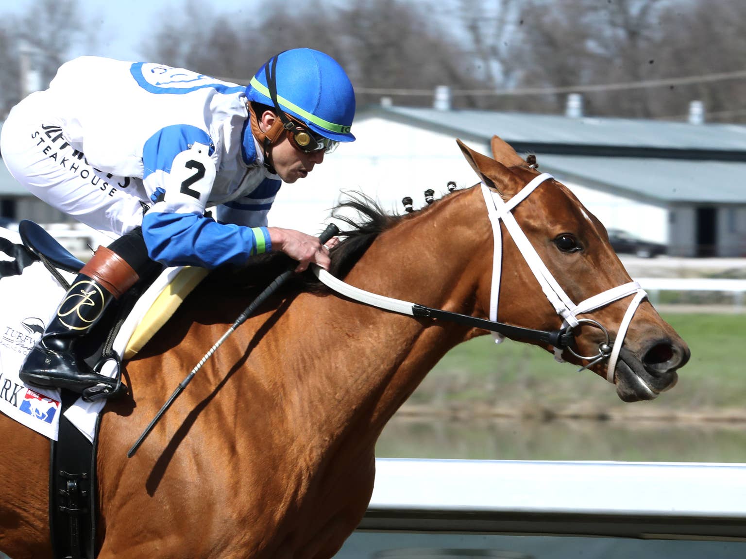 Stylish Sue Makes First Start Outside U.S. In Belle Mahone Stakes ...