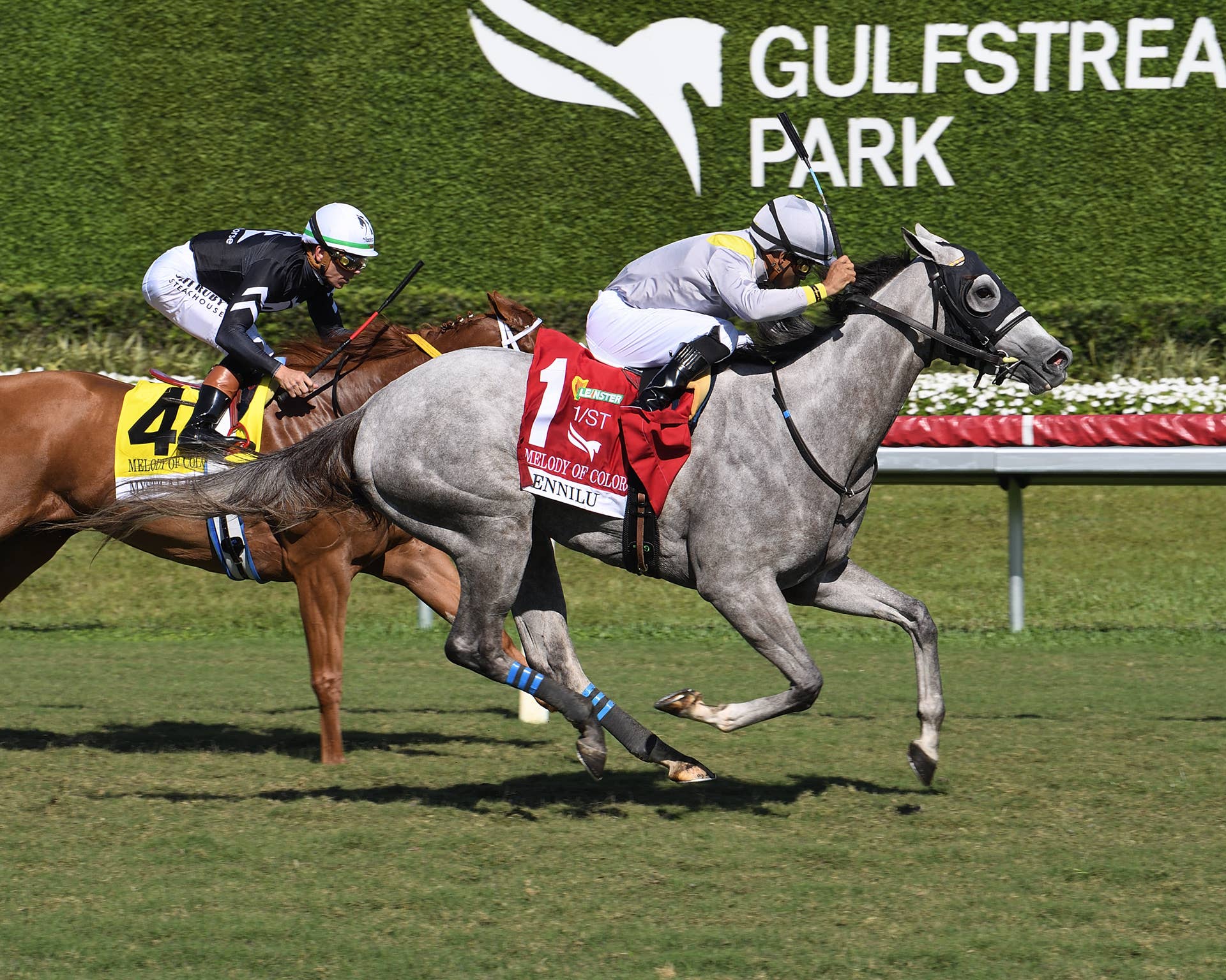Lennilu Looks To Keep Unbeaten Gulfstream Park Record Intact In Game ...