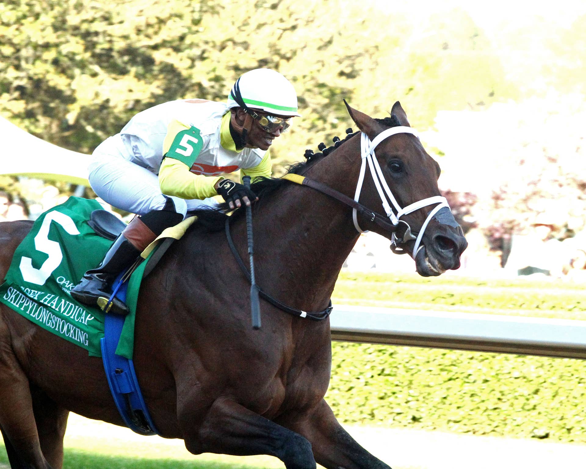 Skippylongstocking, Baeza To Meet In Alysheba - Paulick Report