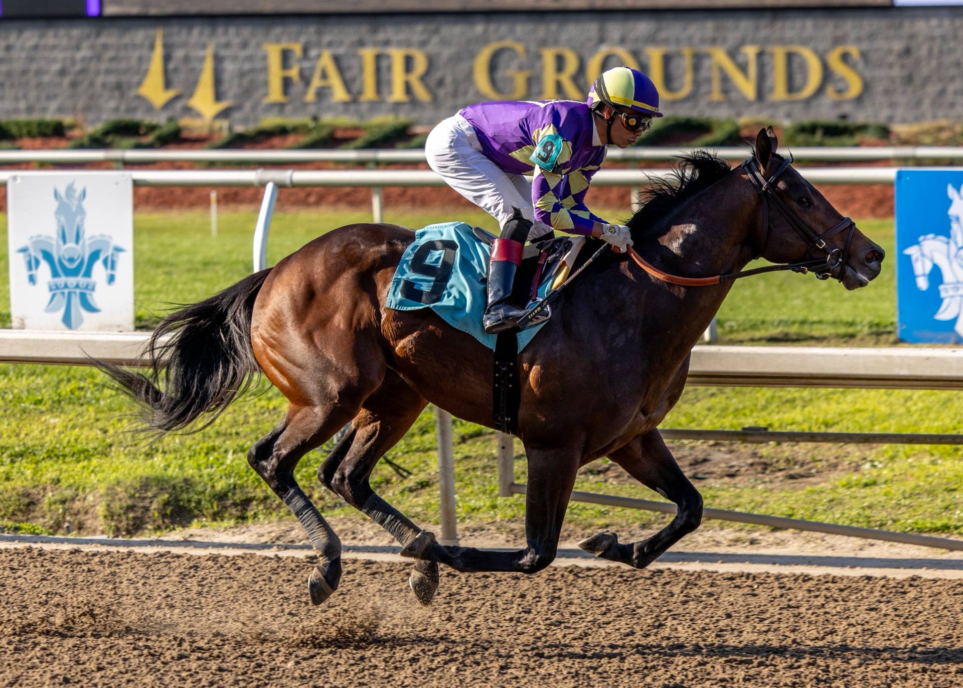 Pat Day Mile Next For Undefeated 3-Year-Old Englishman - Paulick Report