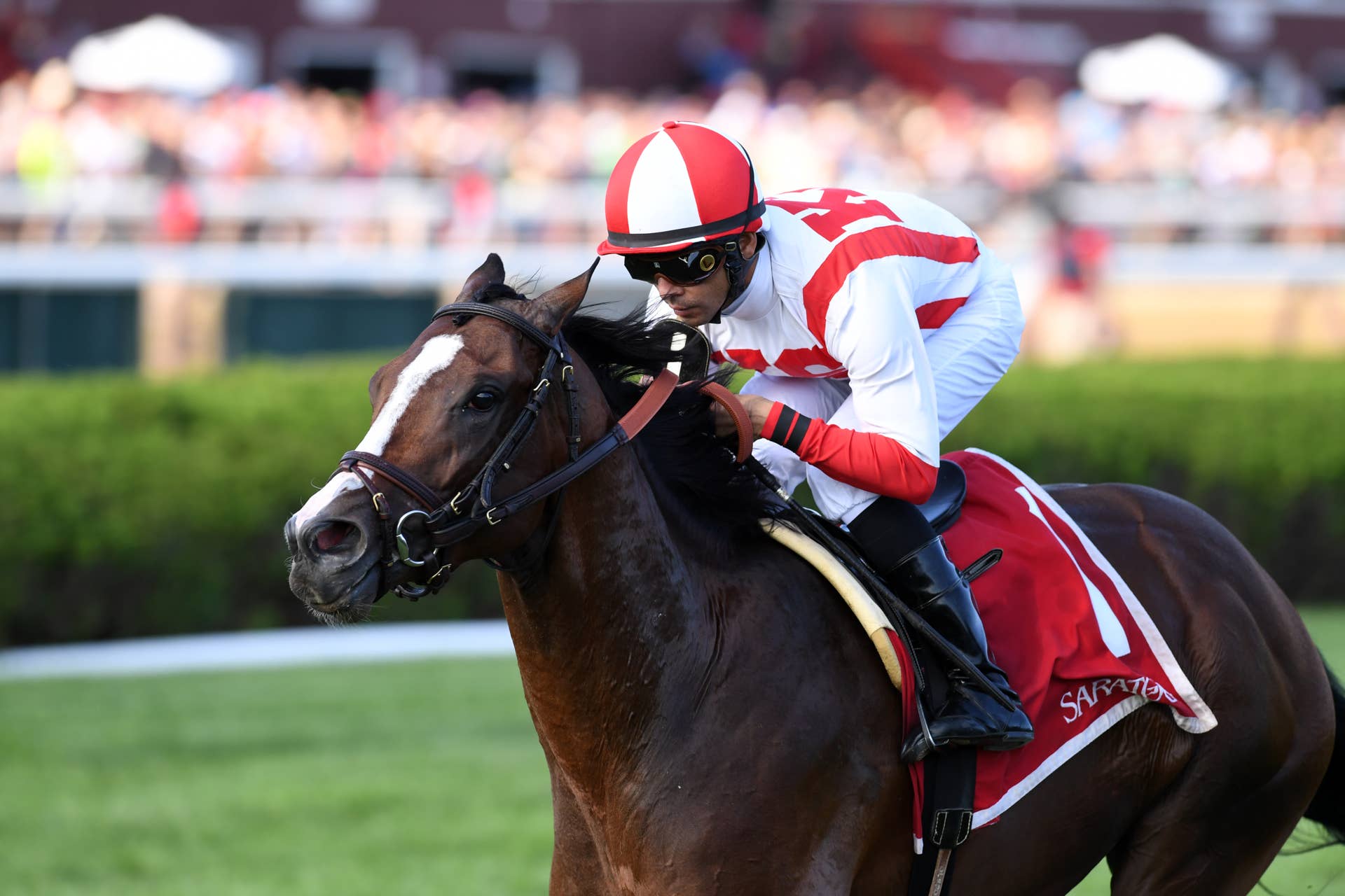 Front Run The Fed Moves To New York's Ocampo Stallions Farm For 2026 ...