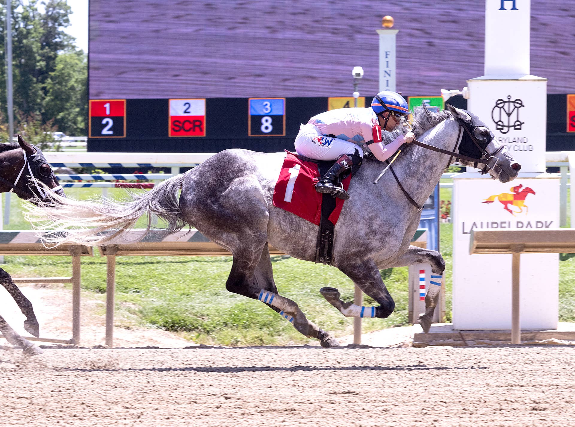 Racetrack Roundup: Former Chilean HOY The Goat Set For U.S. Debut At ...