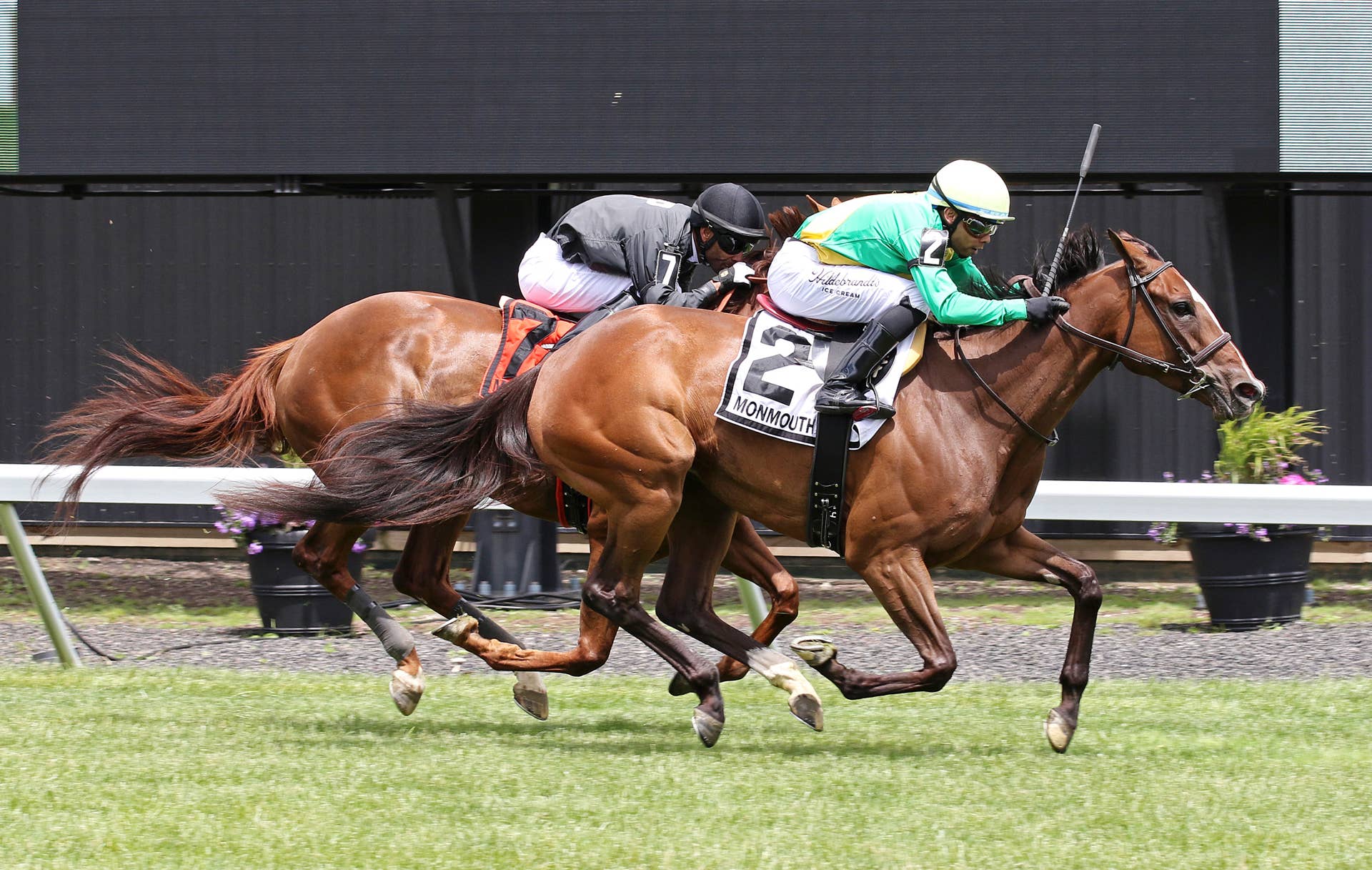 Monmouth Park: Ozara, Neat, Third Coast Score Stakes Triumphs On Turf ...