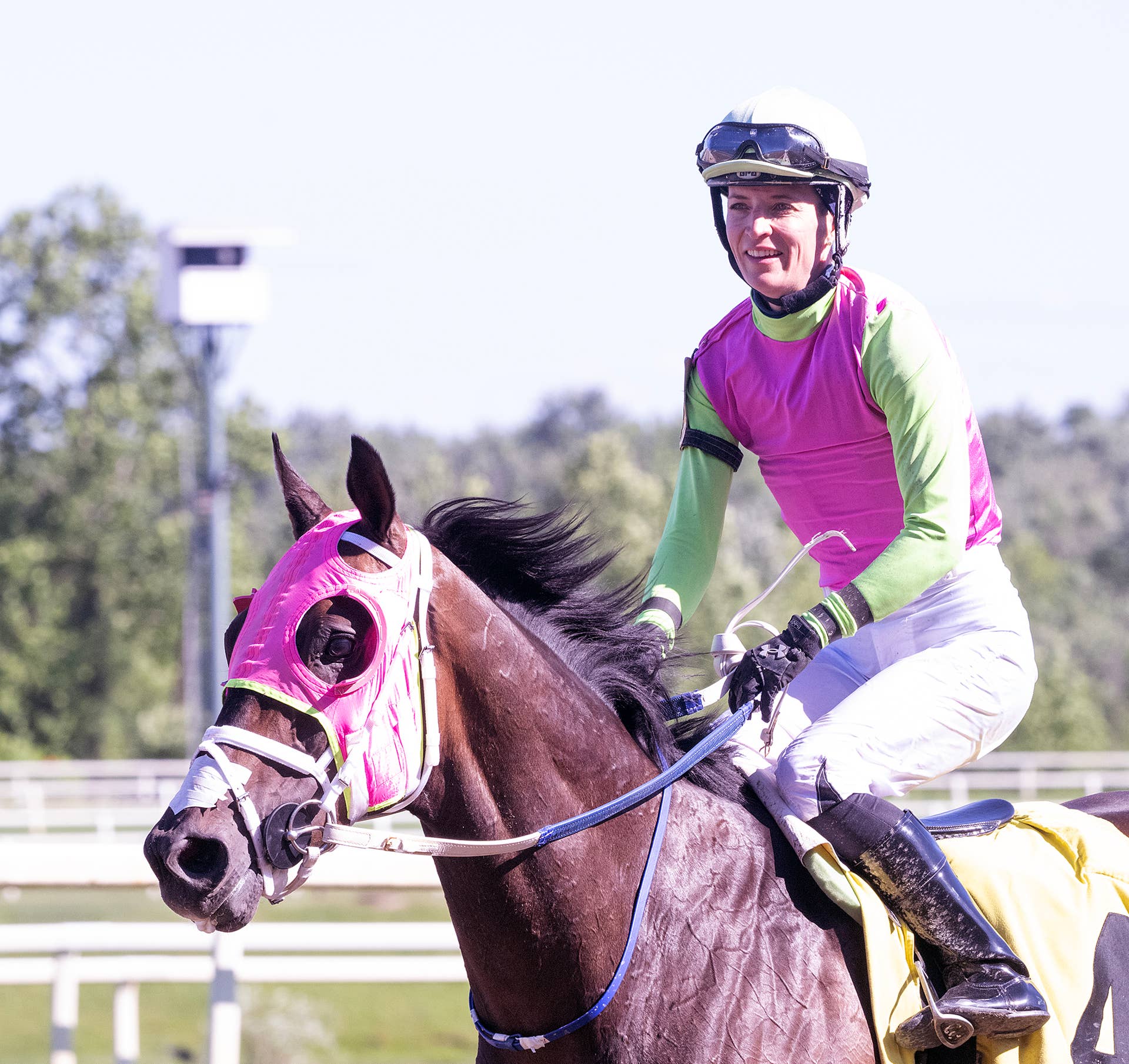 Racetrack Roundup: Former Chilean HOY The Goat Set For U.S. Debut At ...