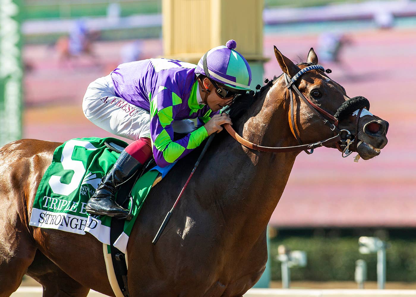 Stronghold Scores Comfortably In Triple Bend - Paulick Report
